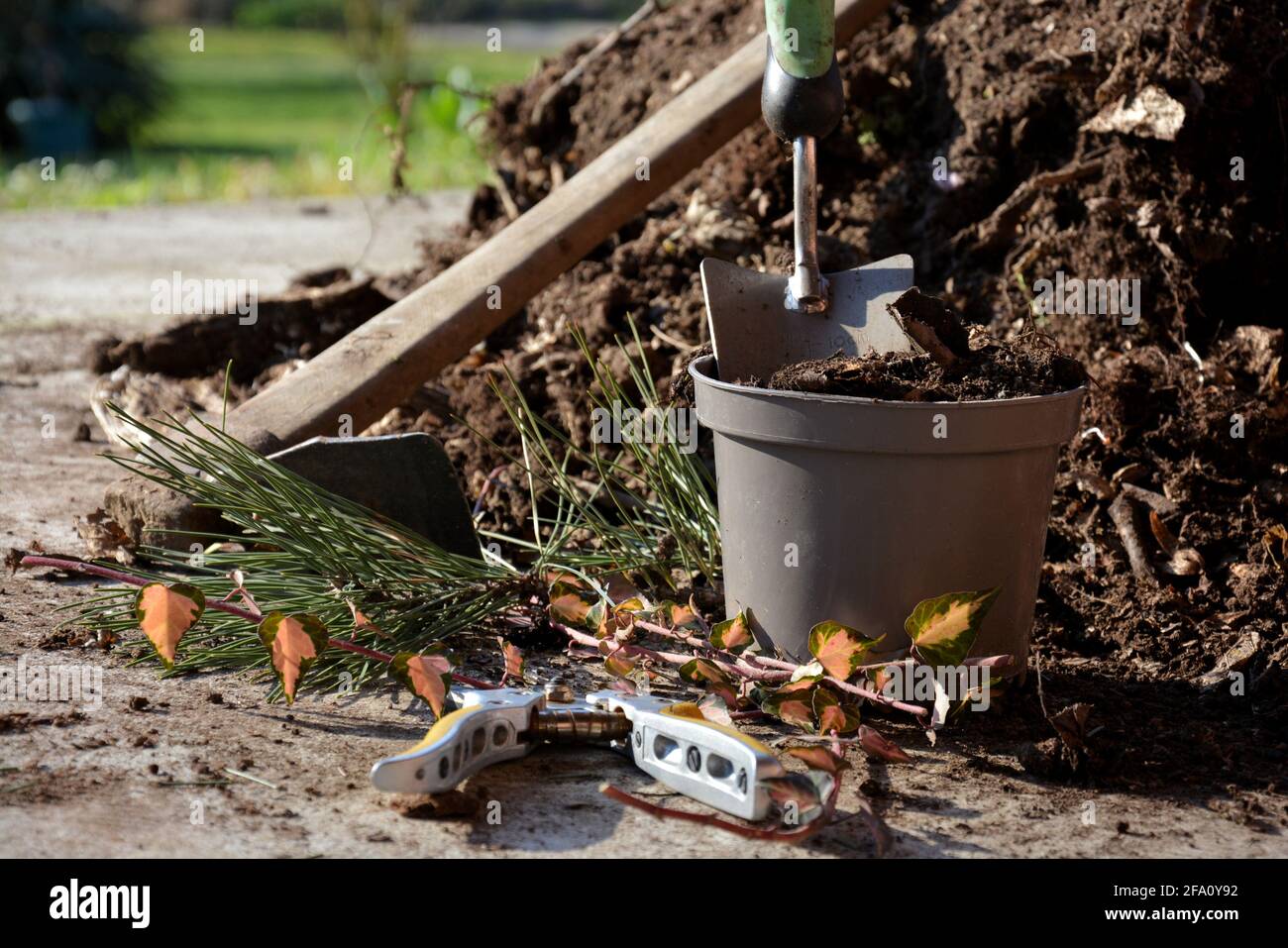 Closeup of gardening tools and a heap of the earth for planting a tree ...