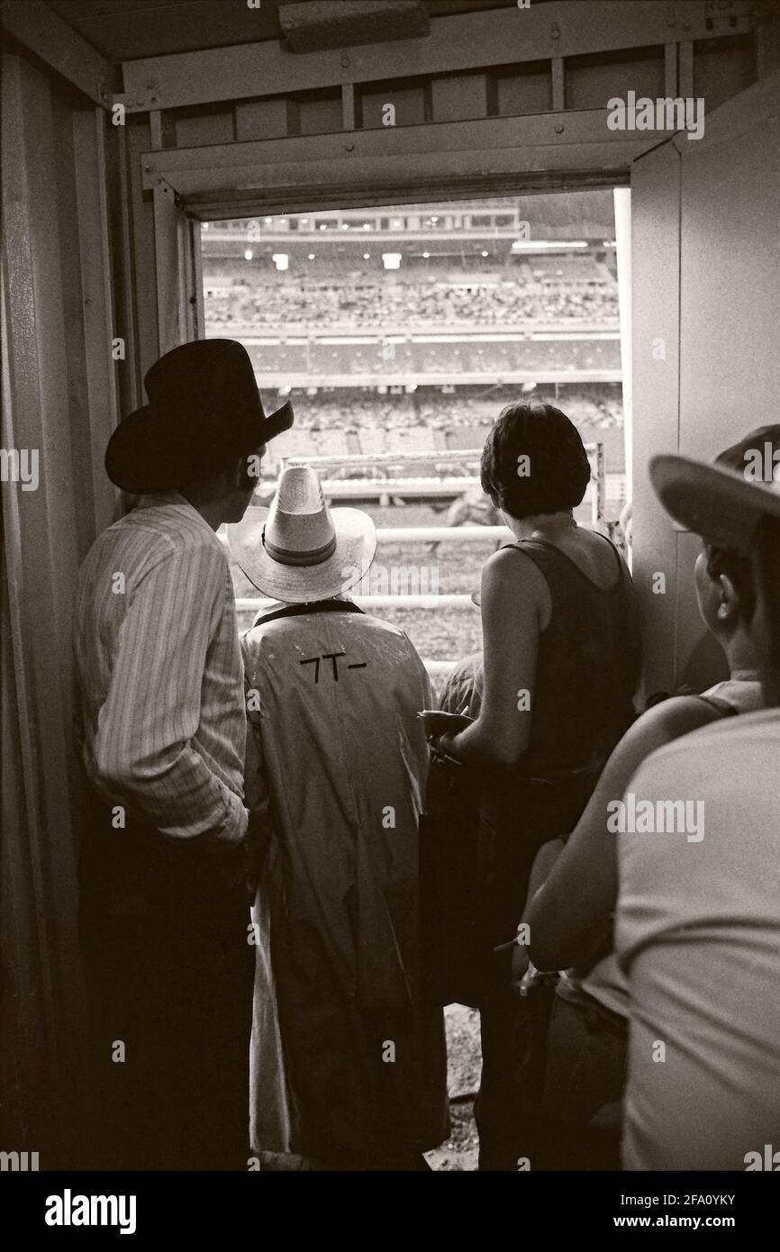 Rodeo spectators sheltering from the rain at the Calgary Stampede ...