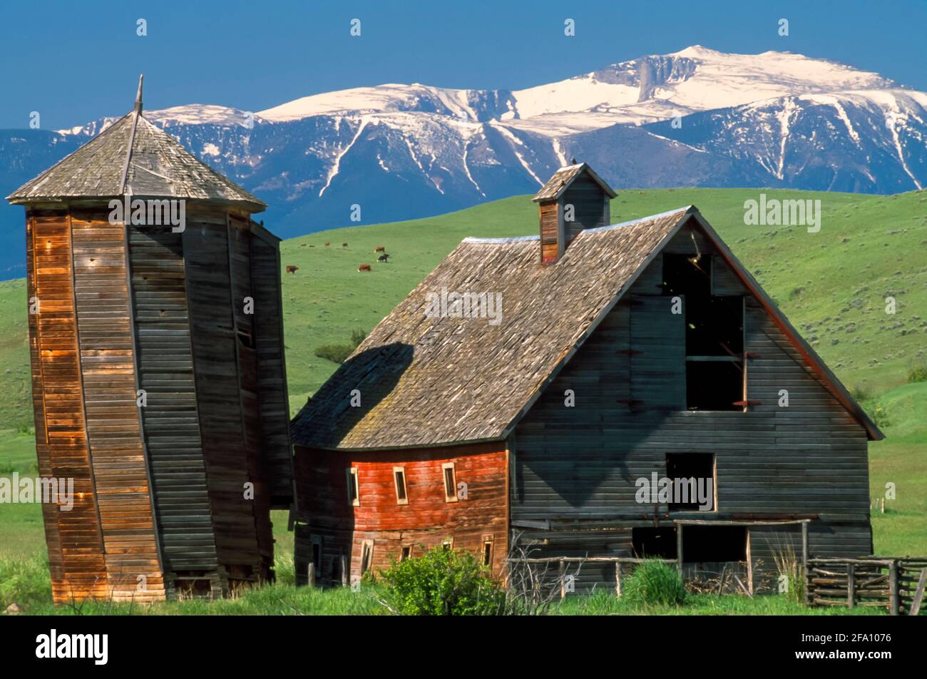 old barn and silo below the beartooth mountains near boyd, montana ...