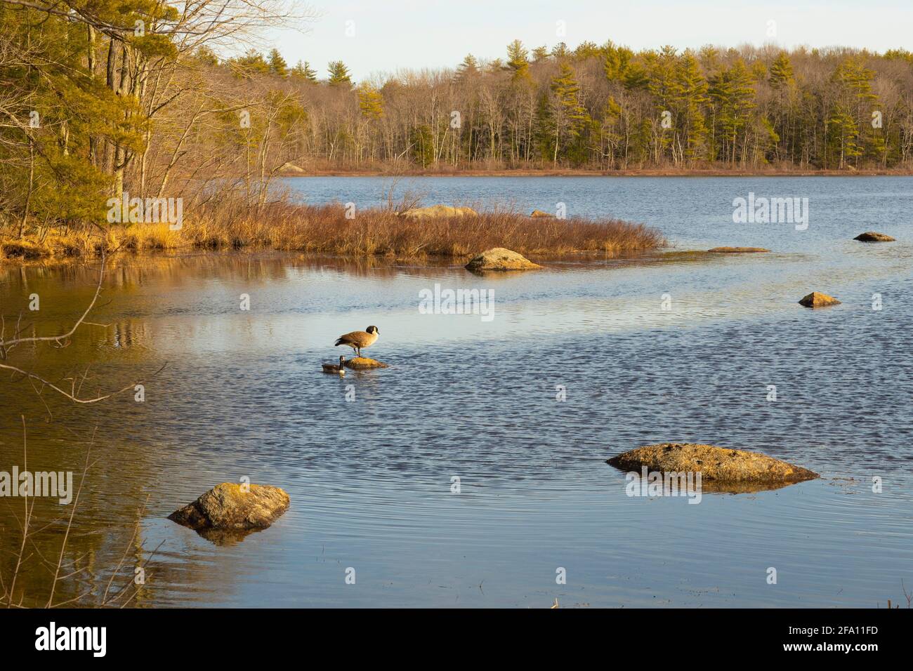 It's a large wetlands area off RT 101 in Dublin, New Hampshire. Quiet ...