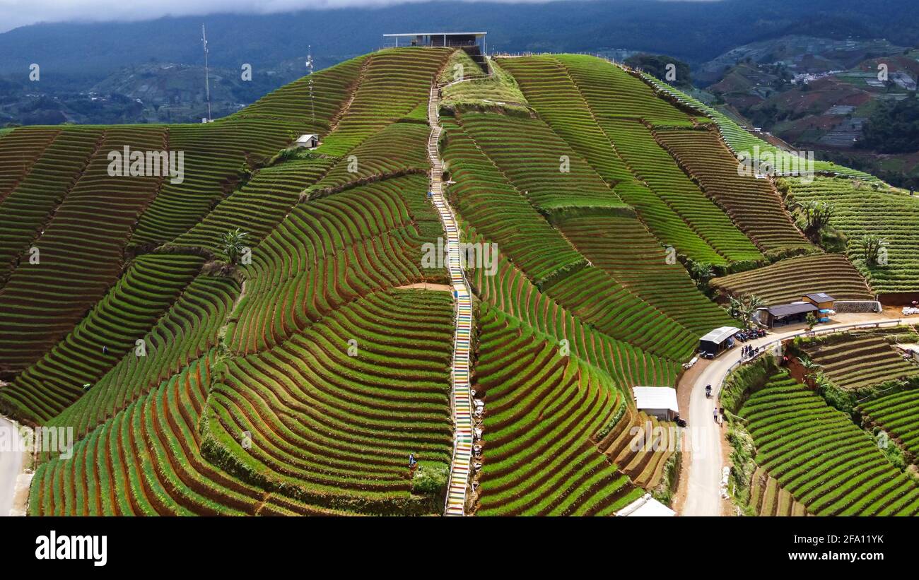 Aerial view of World heritage Panyaweuyan rice terraces in Majalengka ...