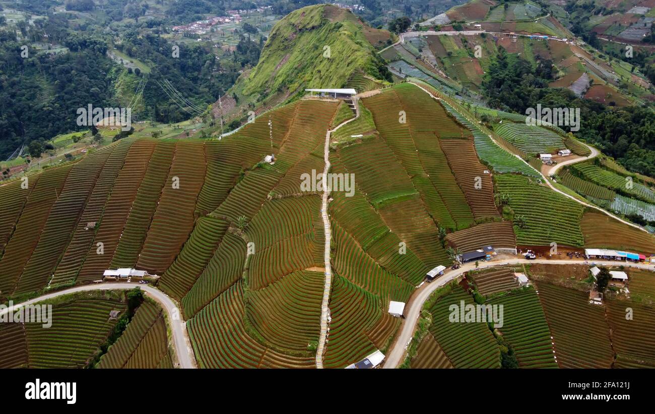 Aerial view of World heritage Panyaweuyan rice terraces in Majalengka ...