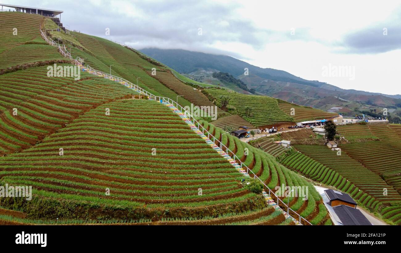 Aerial view of World heritage Panyaweuyan rice terraces in Majalengka ...