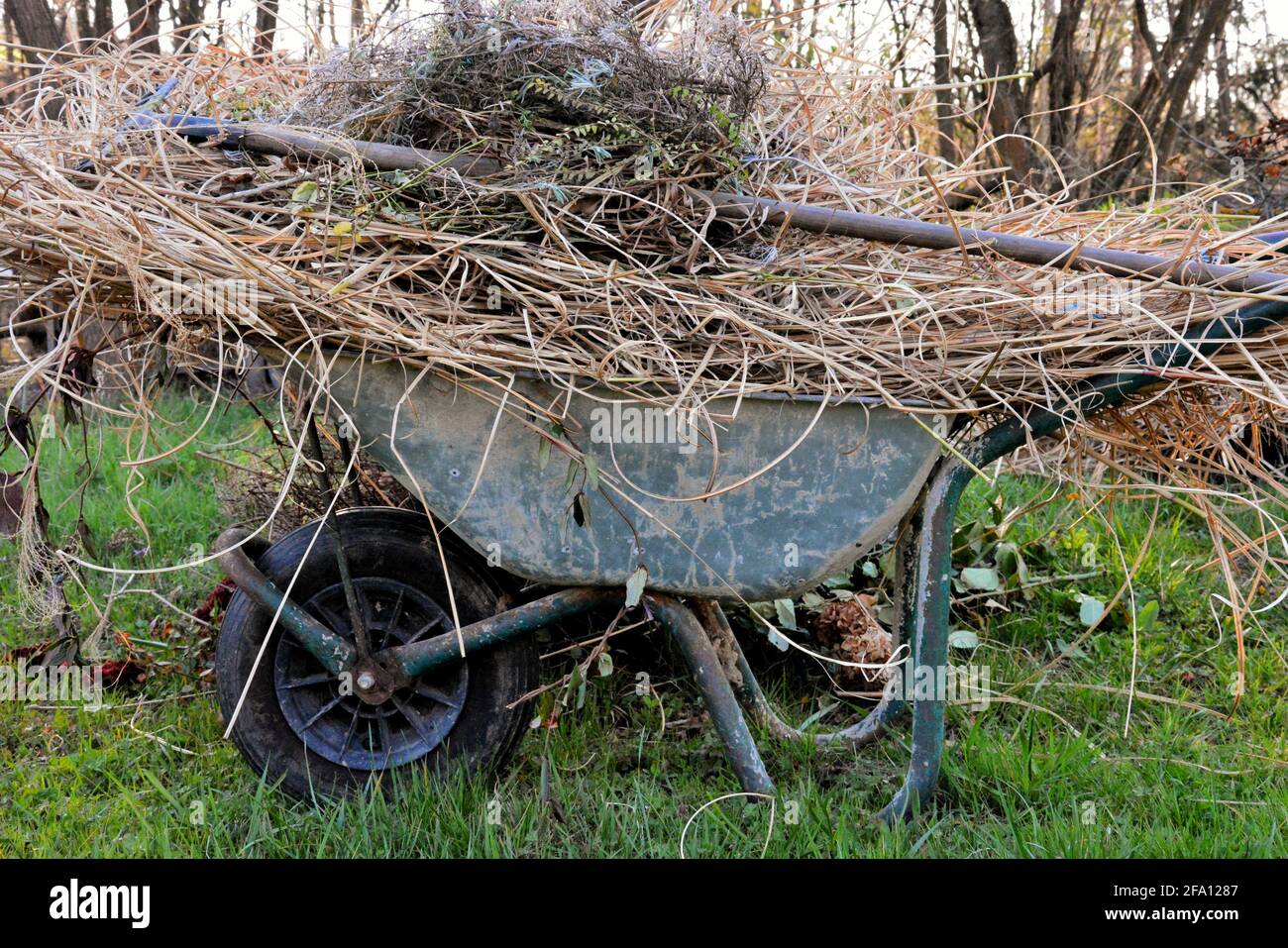 Rural cart hi-res stock photography and images - Alamy