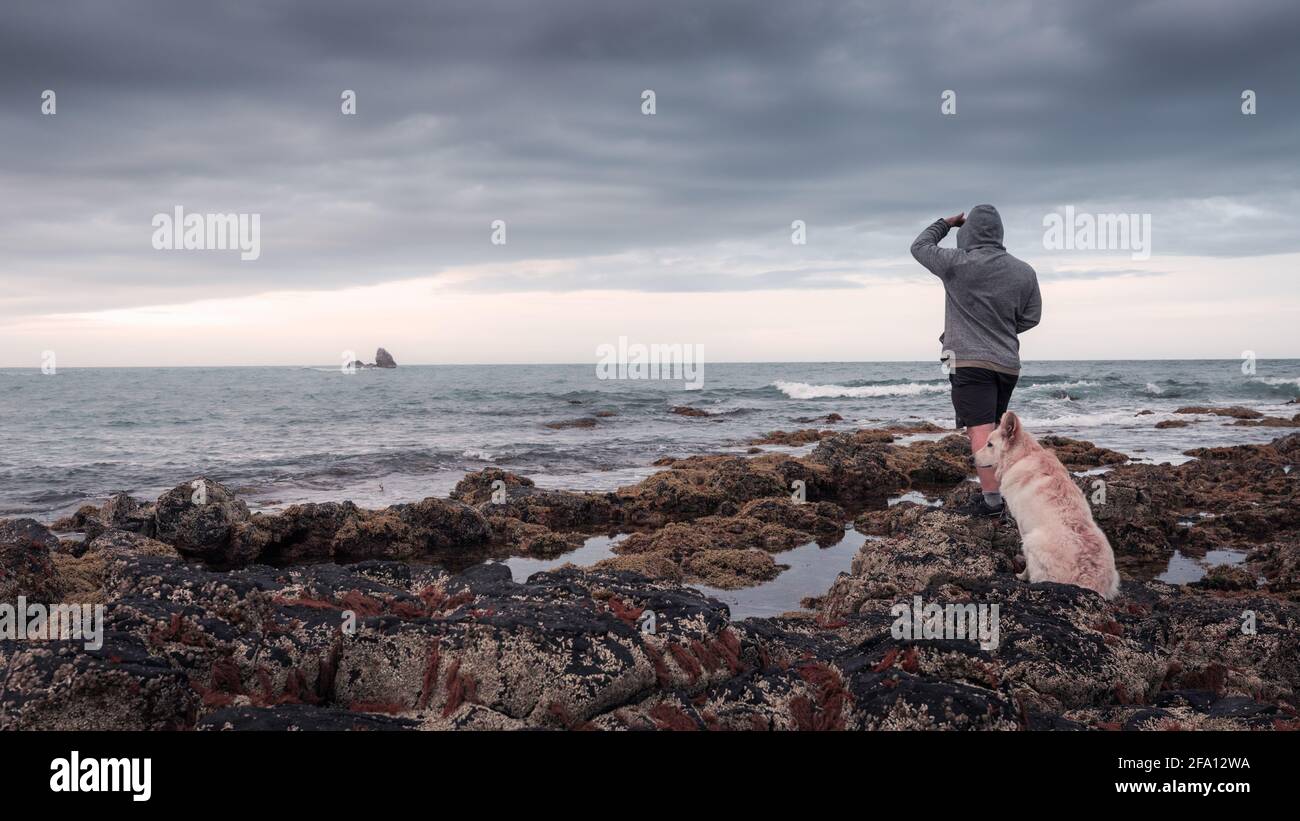 Forward plan hi-res stock photography and images - Alamy