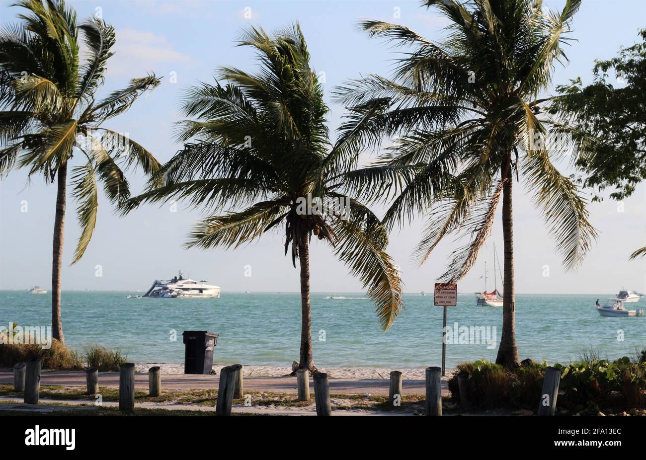 Beautiful sunny day in Key Biscayne, Florida. Large palm trees with ...