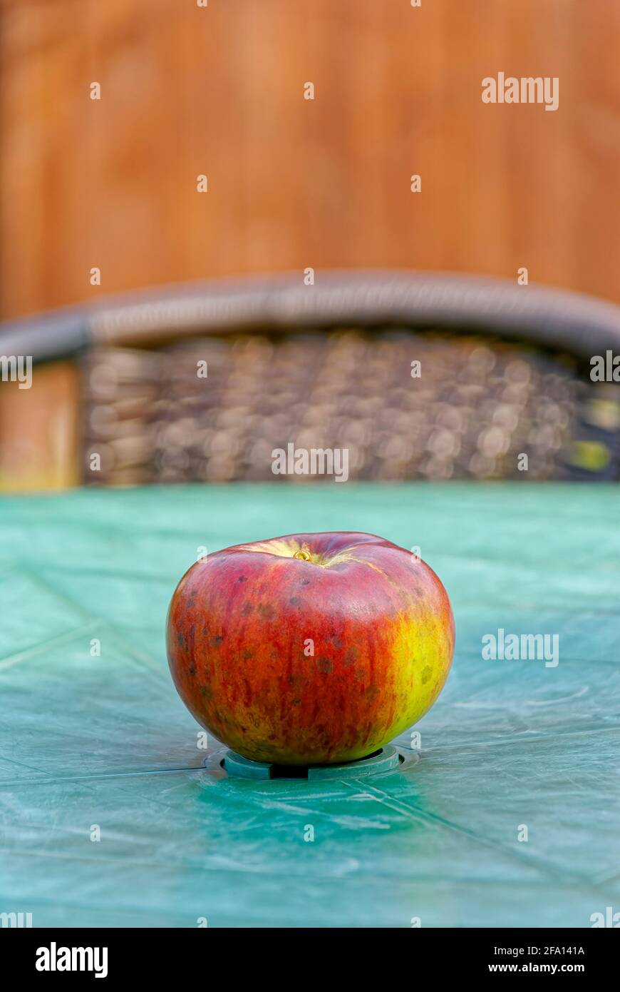 From the orchard to the table hi-res stock photography and images - Alamy