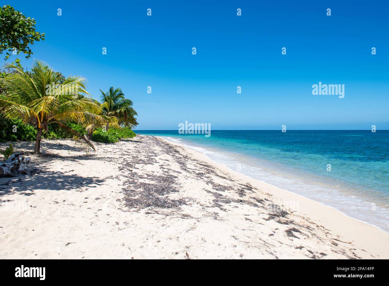 Camp Bay Beach, Playa Barbon in Roatan Stock Photo - Alamy