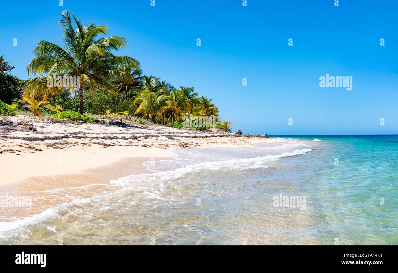 Camp Bay Beach, Playa Barbon in Roatan Stock Photo - Alamy
