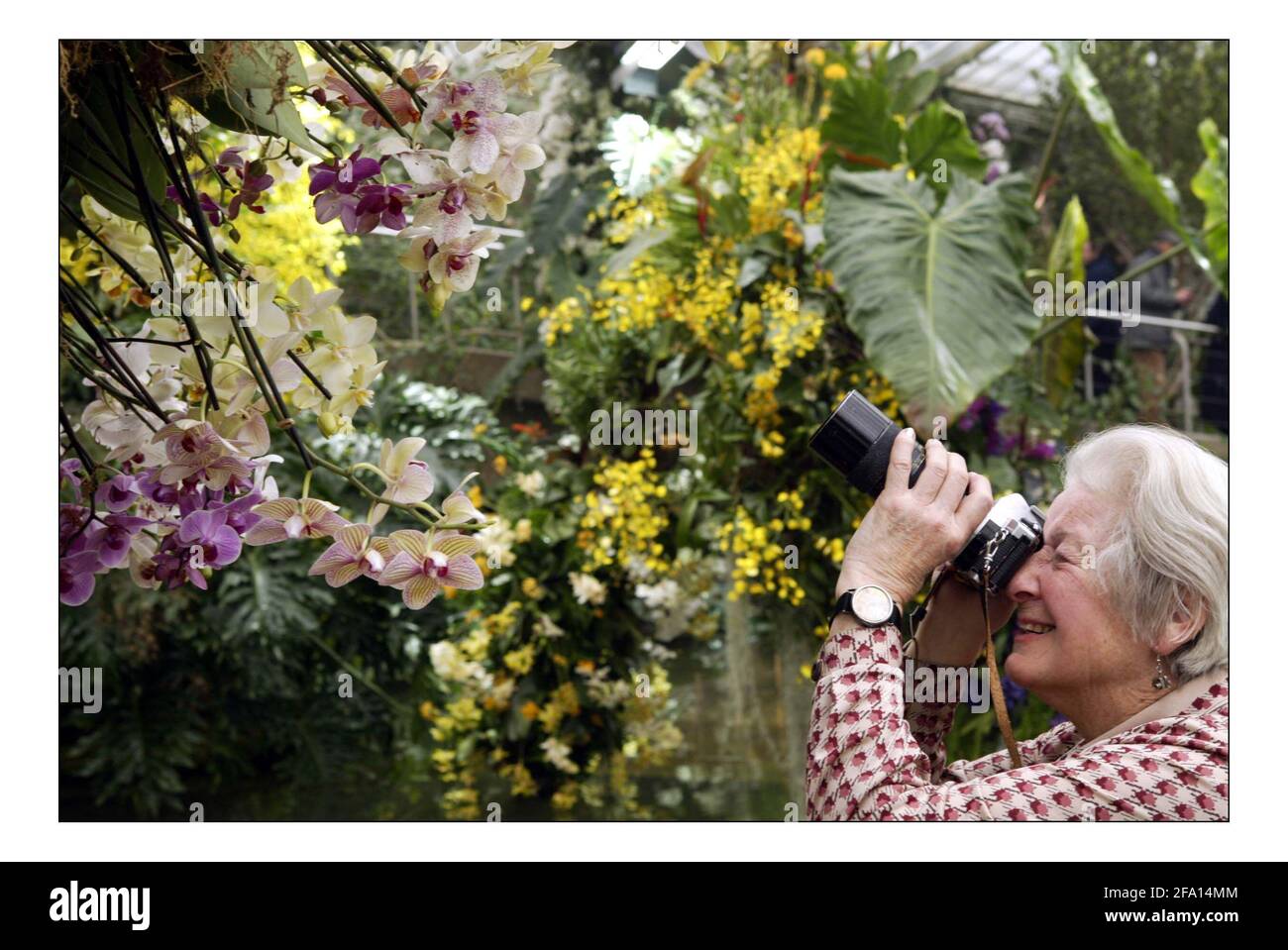 PASSION: The Irresistible Beauty of Orchids....Kew Gardens 11th annual ...