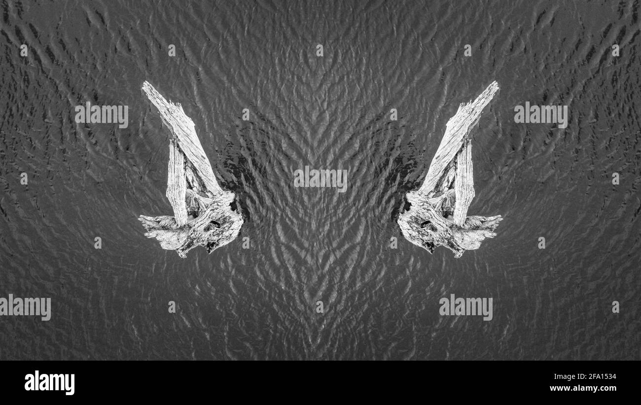 Trees mountain reflection Black and White Stock Photos & Images - Alamy