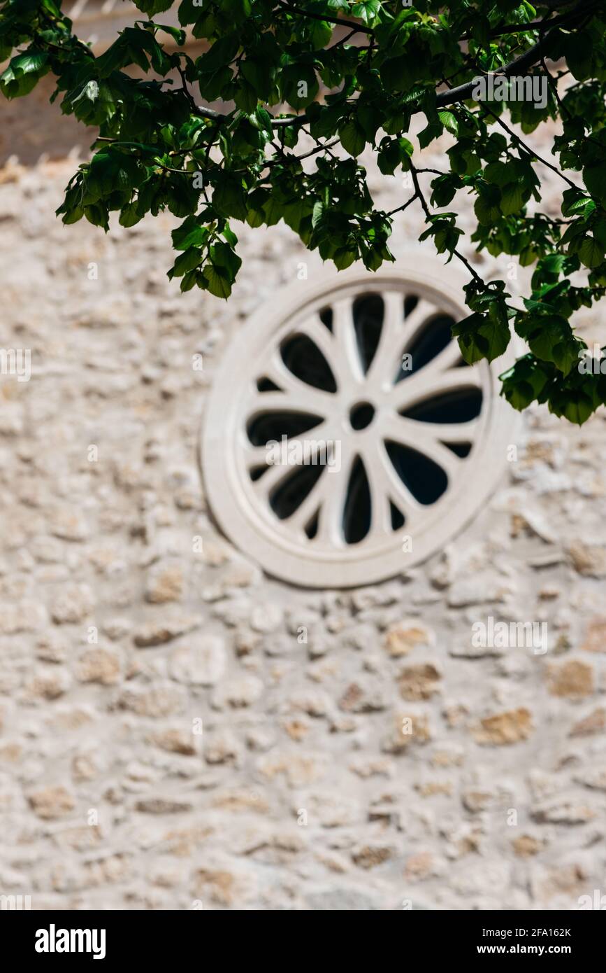 Round window texture of a church on the stone wall with a tree branch ...