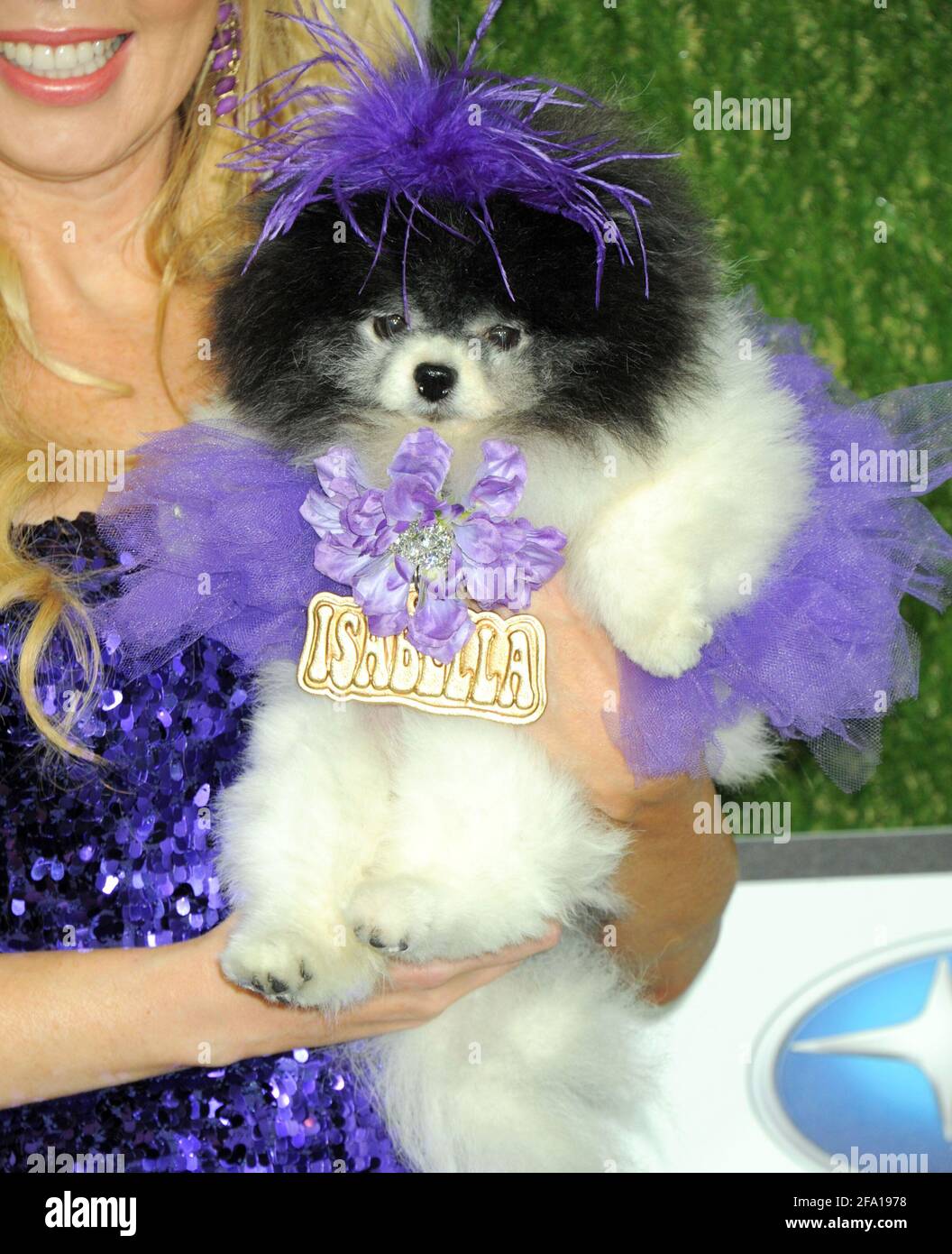 Isabella ruby hi-res stock photography and images - Alamy