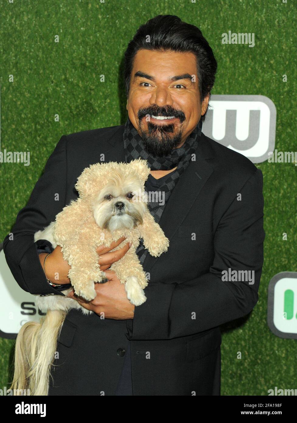 Smallest Dog In The World George