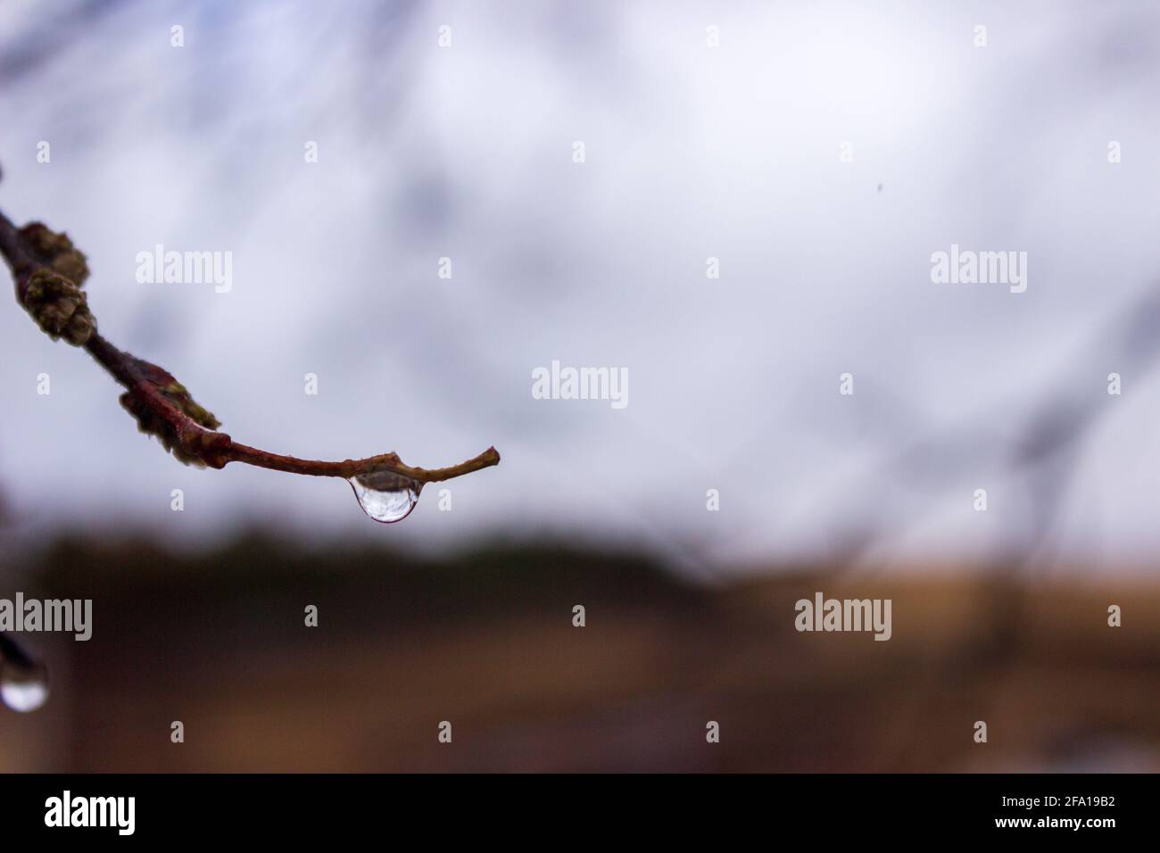 Rain garden before after] hi-res stock photography and images - Alamy