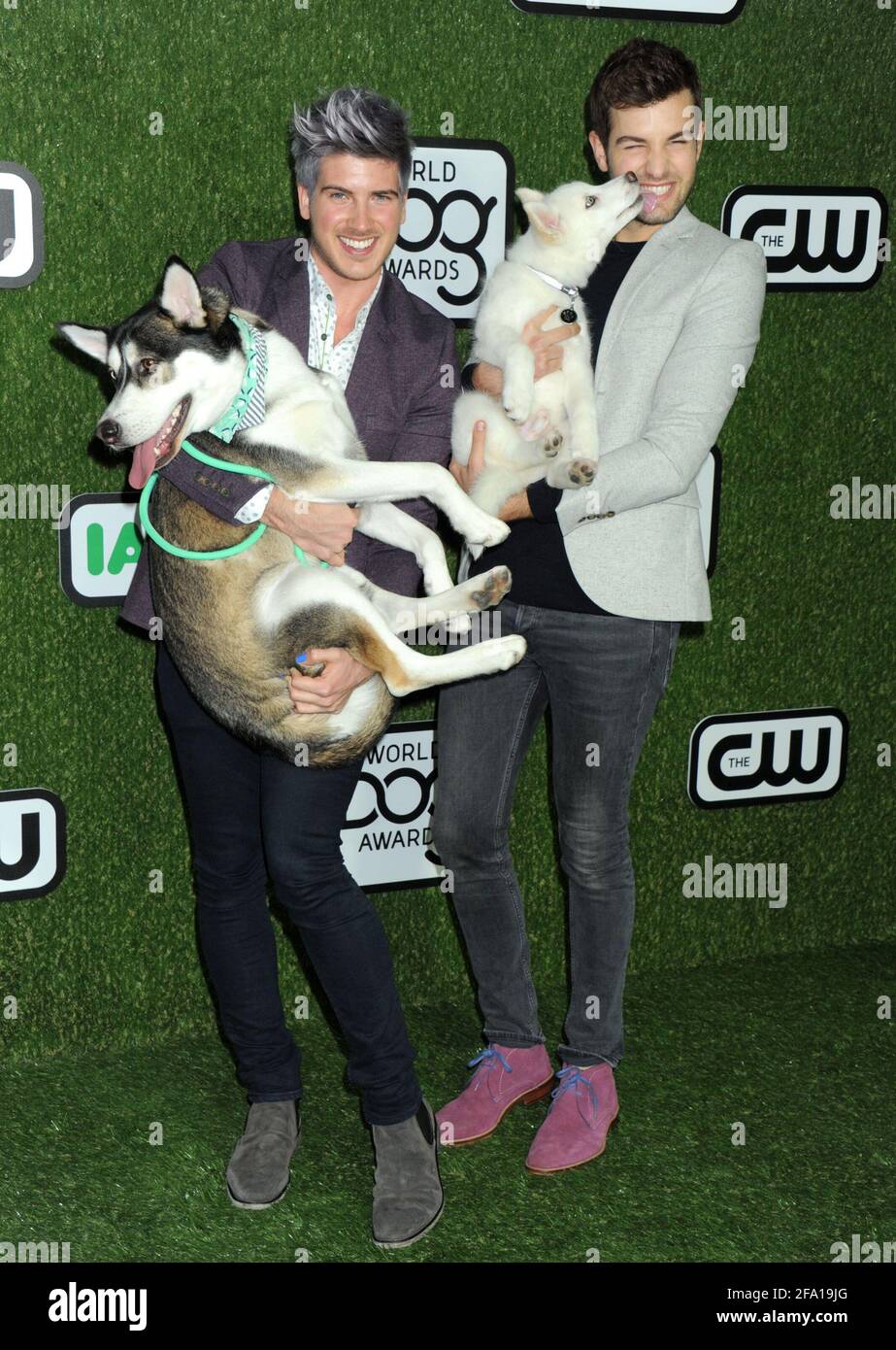 Joey Graceffa, Daniel Preda, Dog Wolf, Dog Storm on the green carpet ...