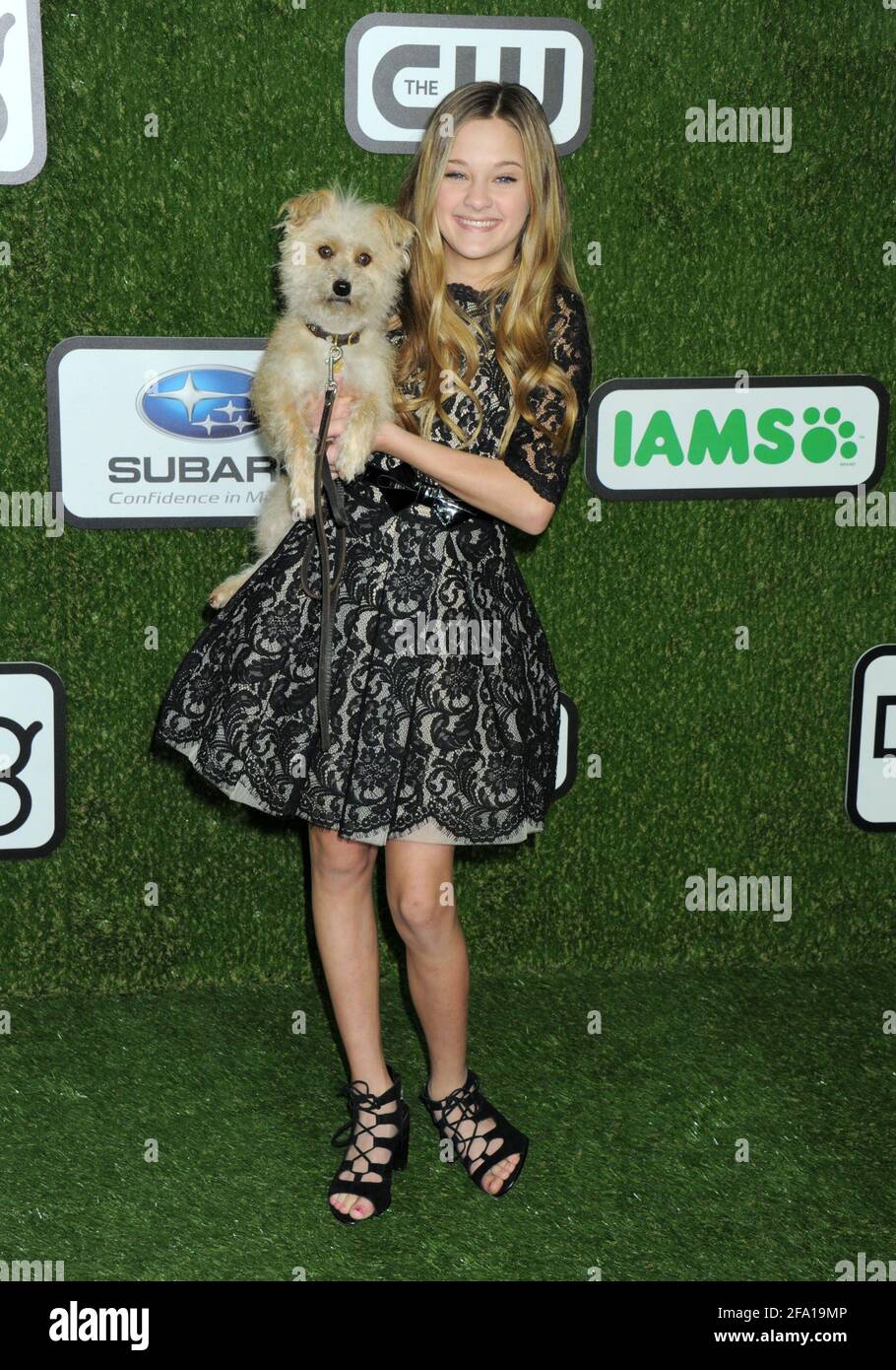 Lizzy Greene, Dog Carson aka Squishy on the green carpet during the ...