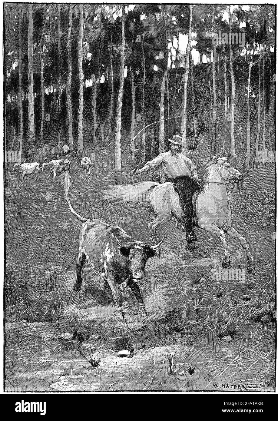 Rounding a bend or corner Cut Out Stock Images & Pictures - Alamy