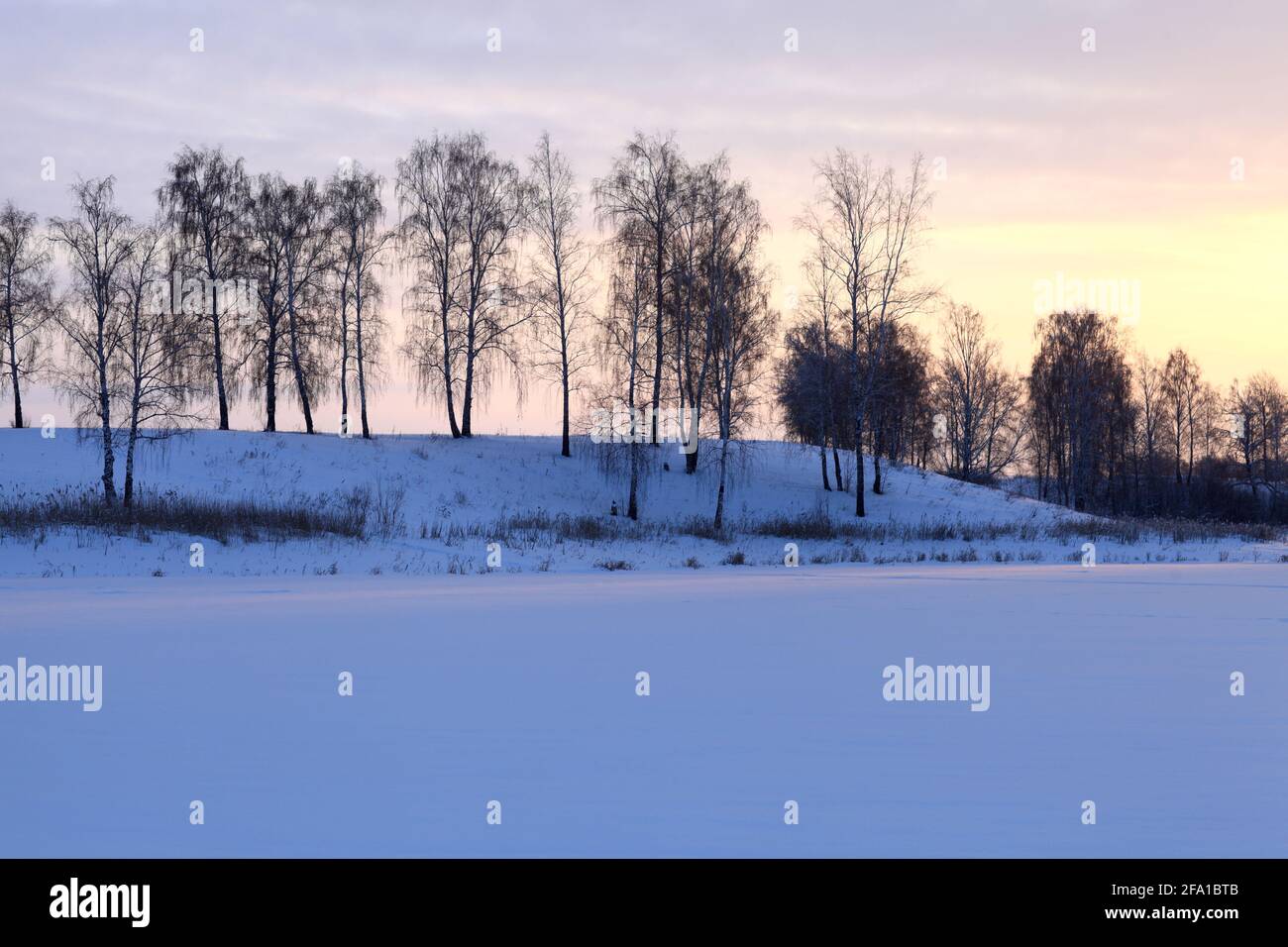 Winter landscape in the morning, Siberia, Russia Stock Photo - Alamy