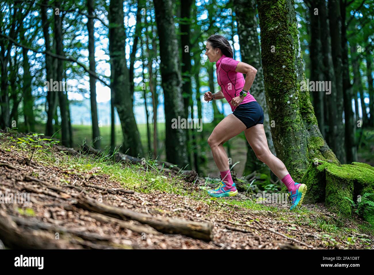 Nike pegasus trail hi-res stock photography and images - Alamy