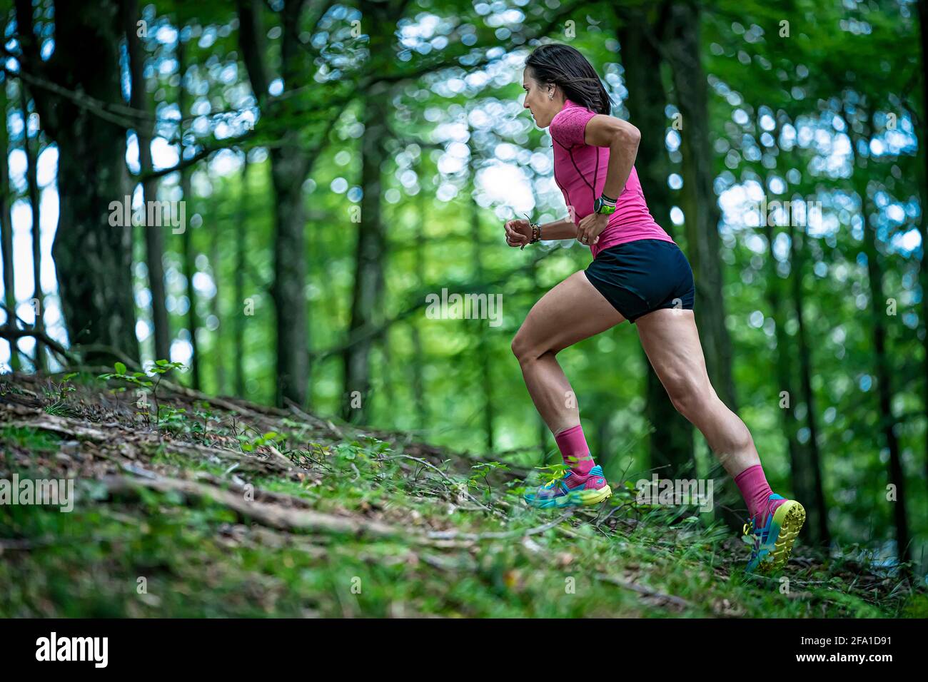 Nike pegasus trail hi-res stock photography and images - Alamy