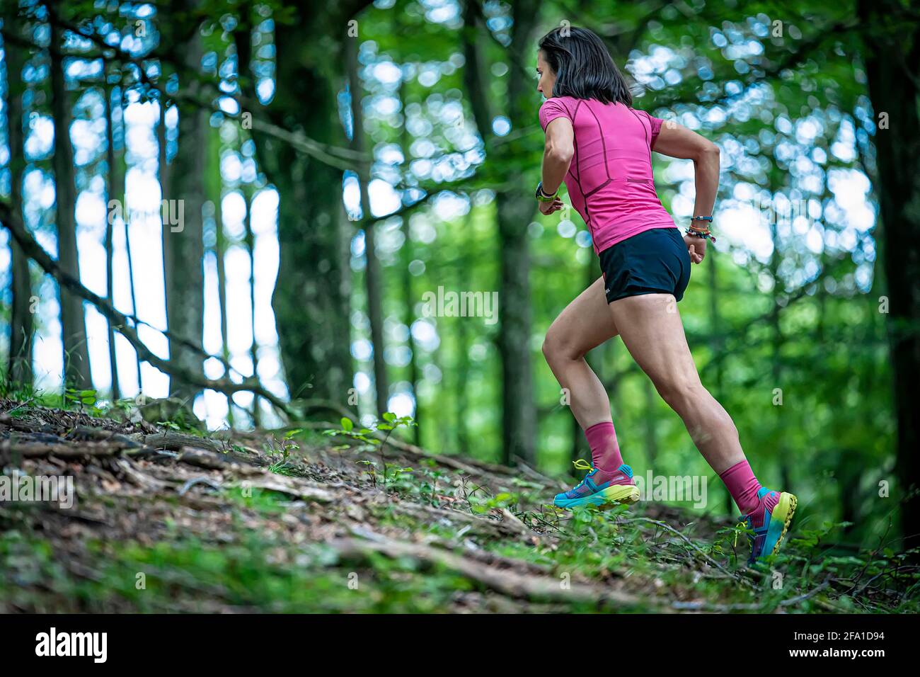 Girl running Trail in a mountainous area of and full of trees Stock ...