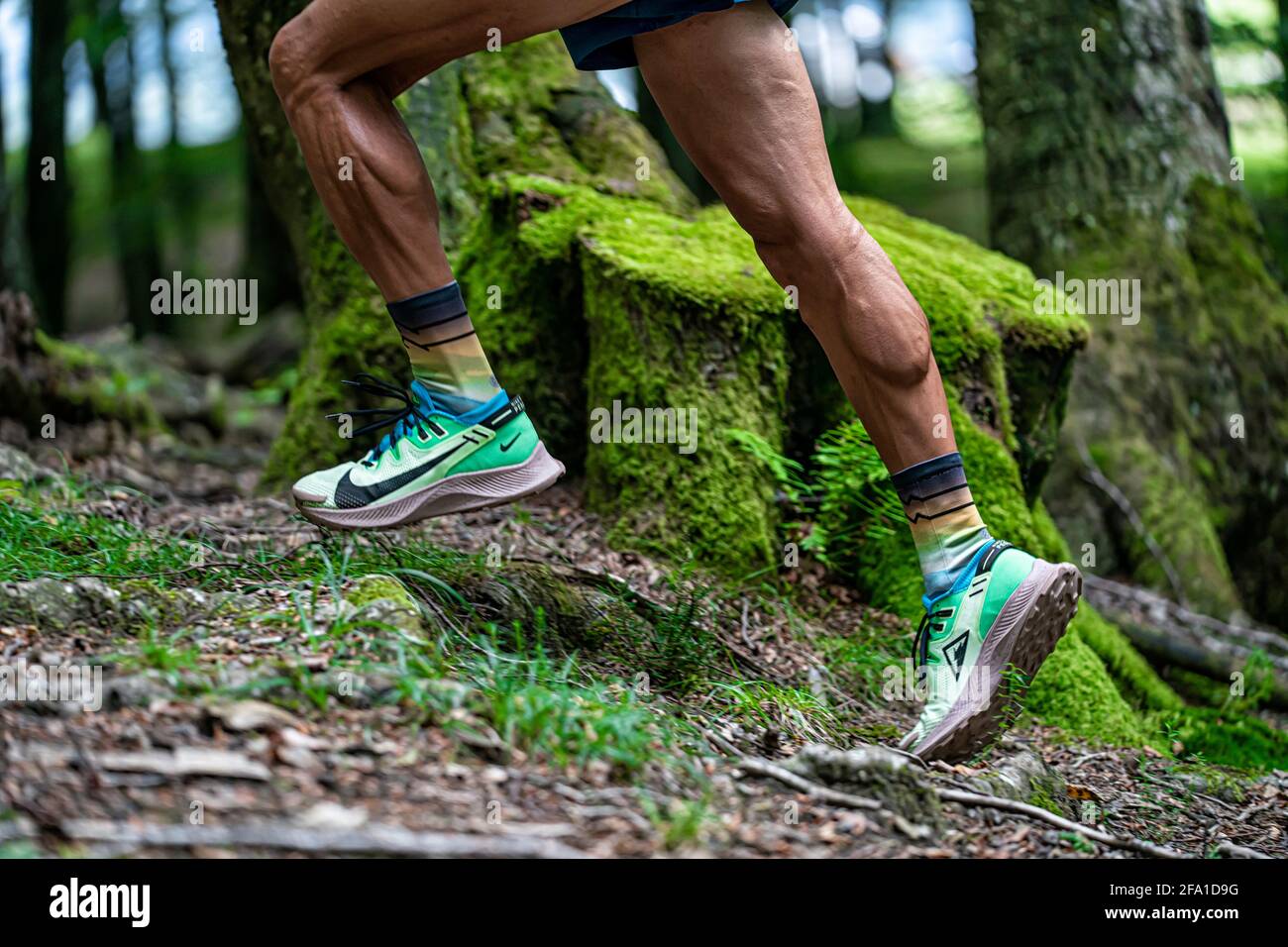 Boy running trail in a mountainous area of and full of trees Stock ...