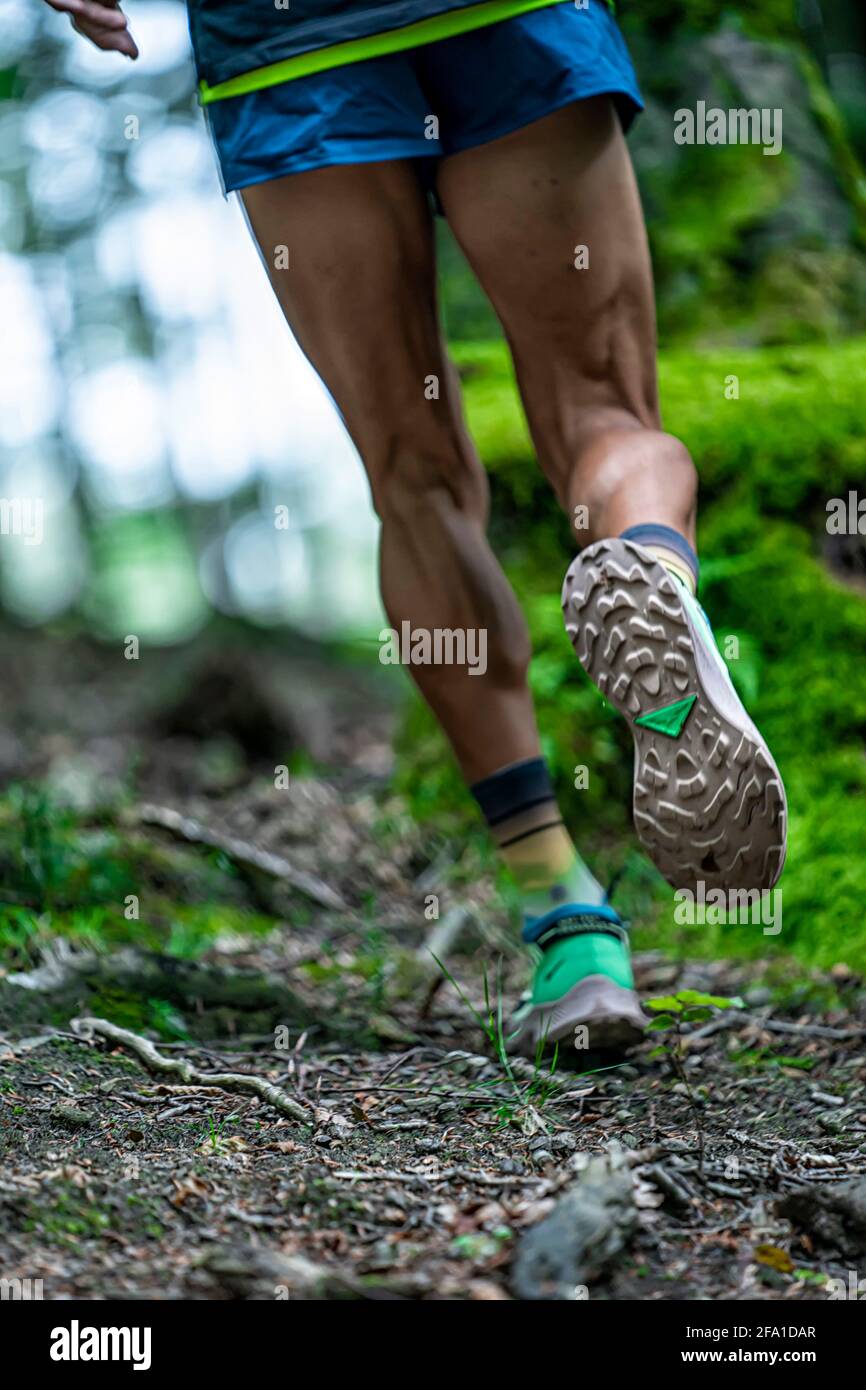 Boy running trail in a mountainous area of and full of trees Stock ...