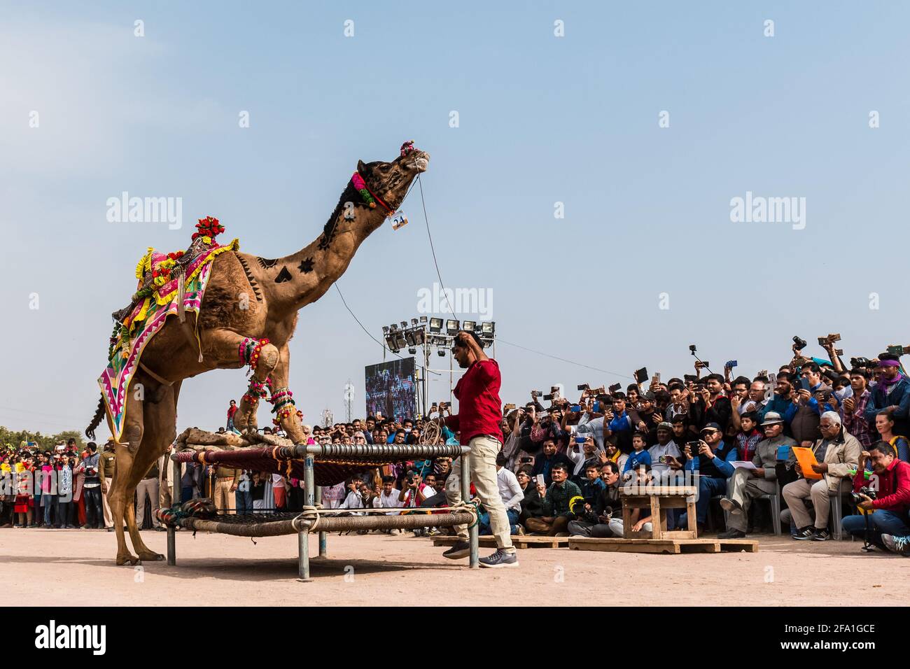 Camel decoration jaisalmer india hi-res stock photography and images ...
