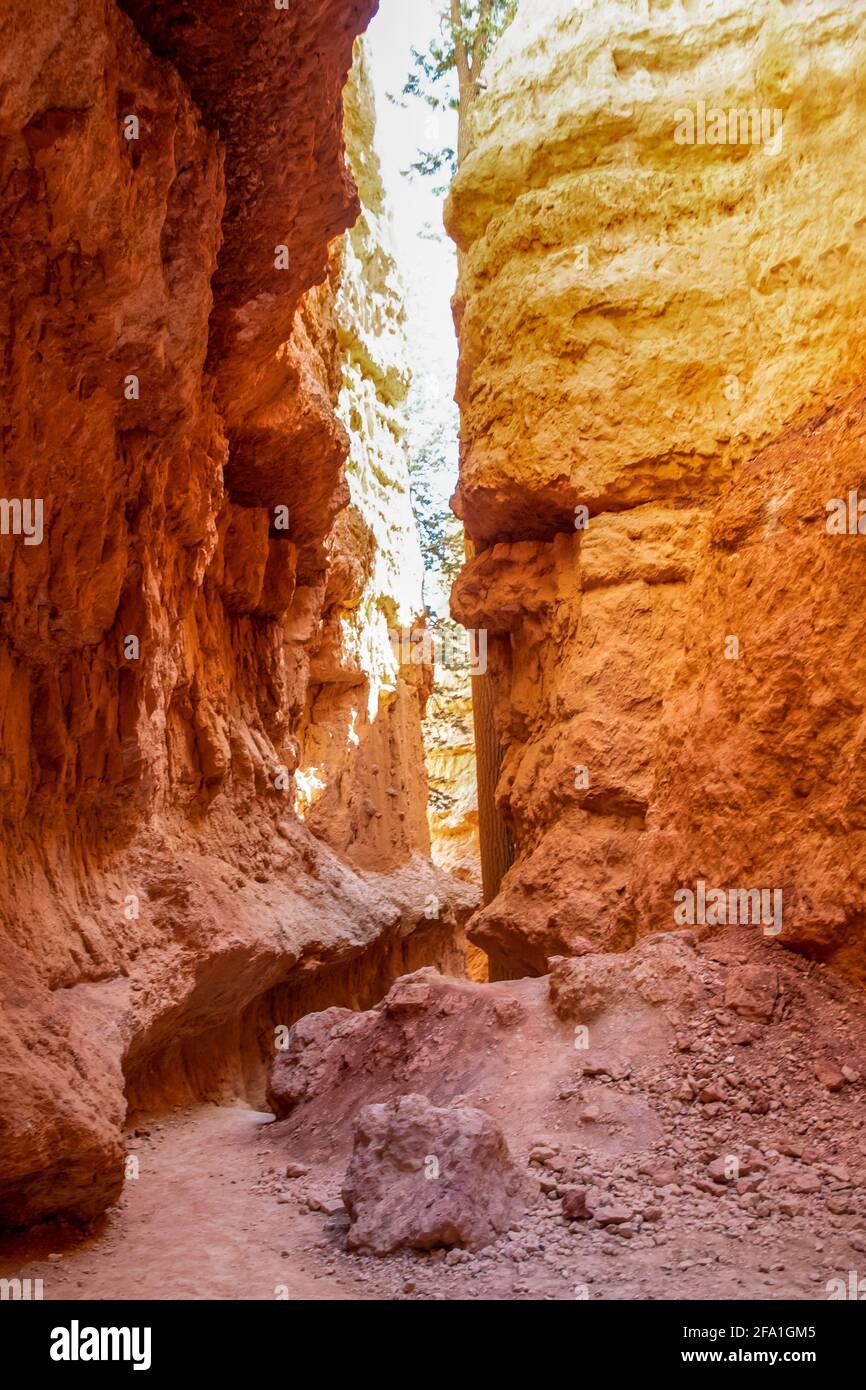 A natural rock formation of Red Rocks Hoodoos in Bryce Canyon National ...
