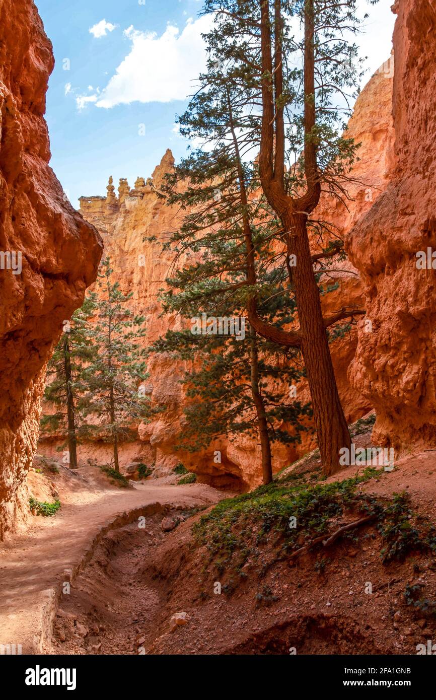 A natural rock formation of Red Rocks Hoodoos in Bryce Canyon National ...