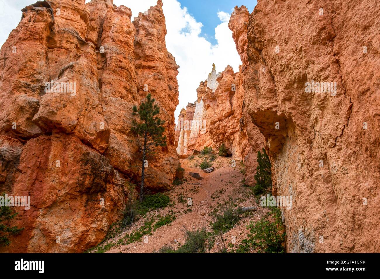 A natural rock formation of Red Rocks Hoodoos in Bryce Canyon National ...