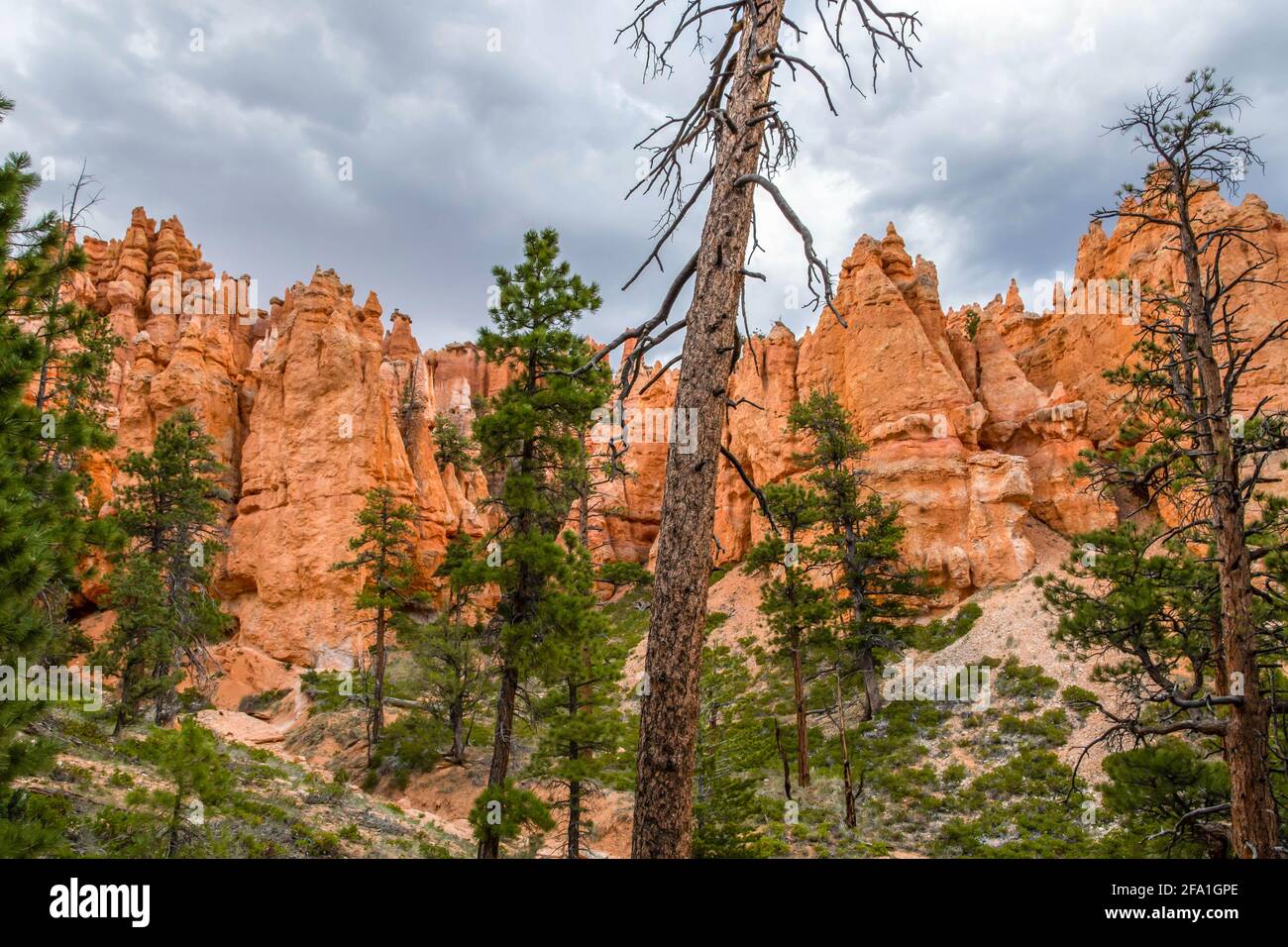 A natural rock formation of Red Rocks Hoodoos in Bryce Canyon National ...