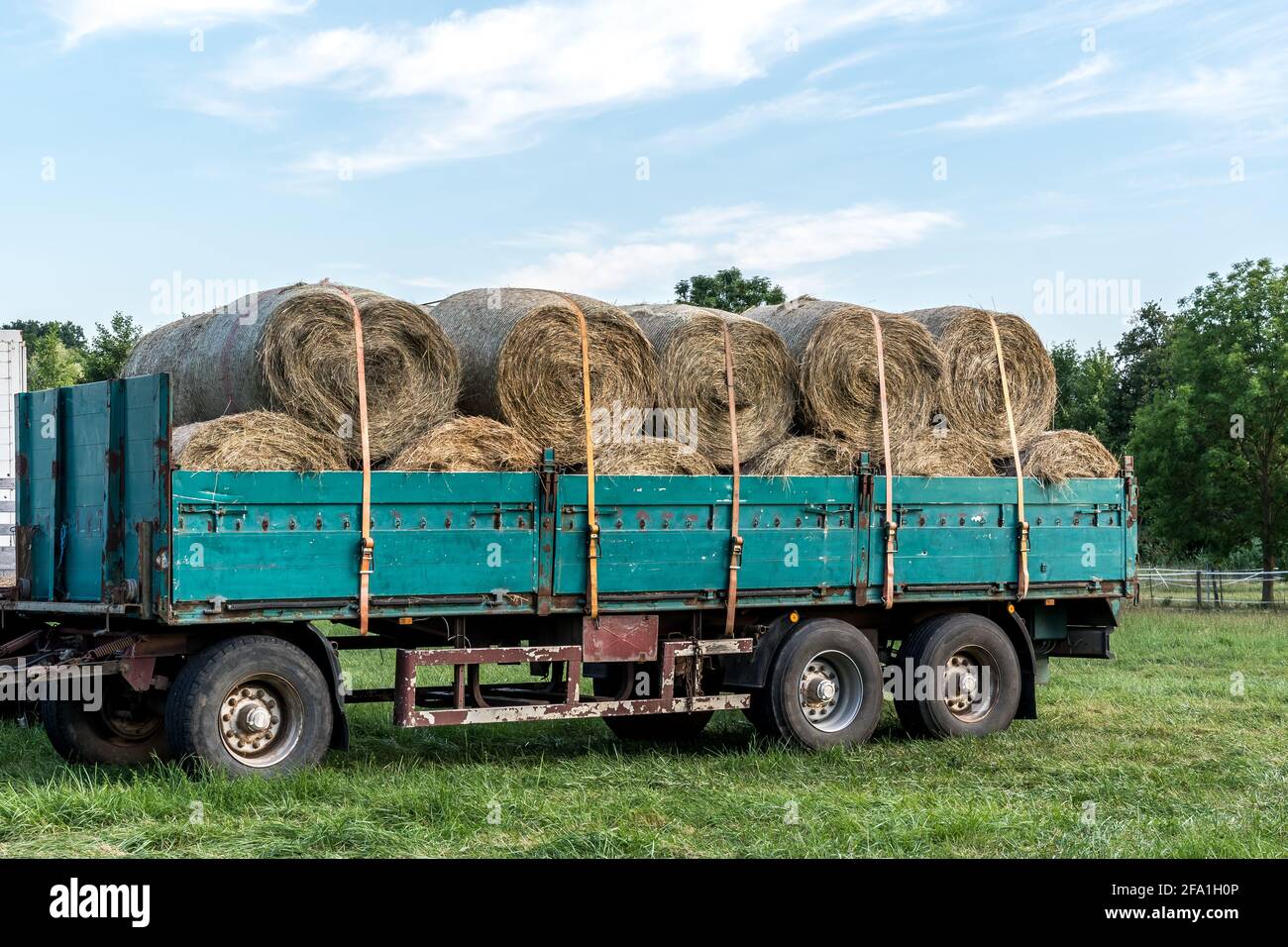Agricultural trailer with tied hay bales on a meadow. With copy space ...