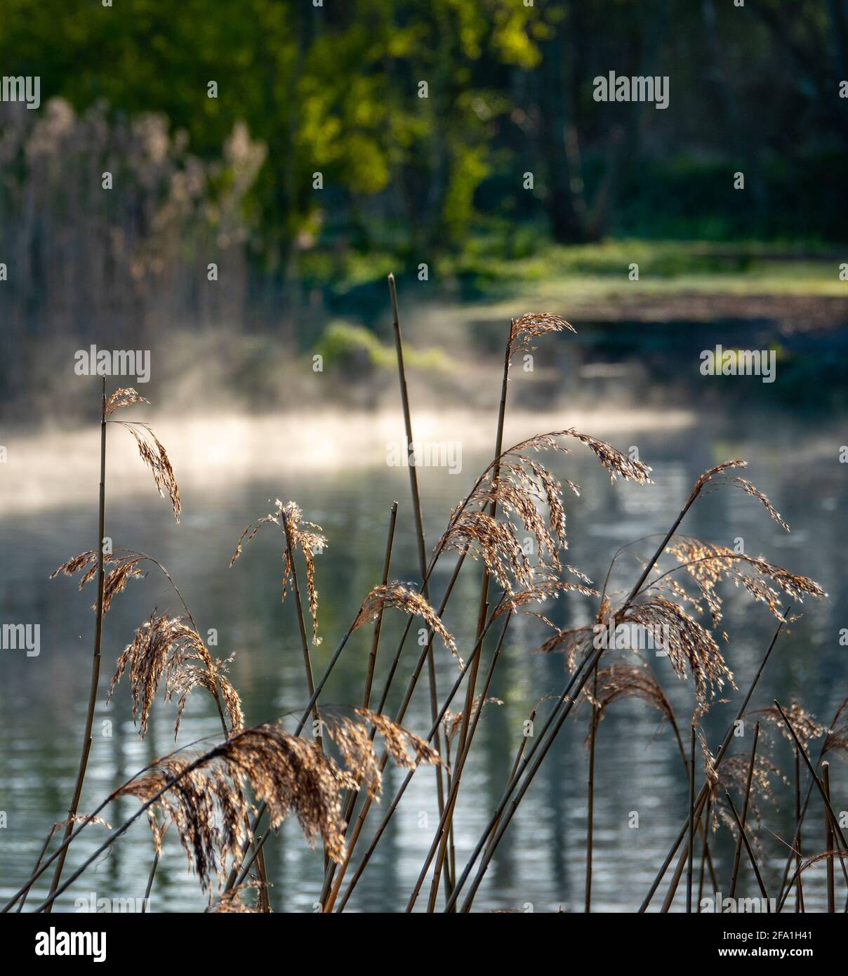Henlow bridge lakes hi-res stock photography and images - Alamy