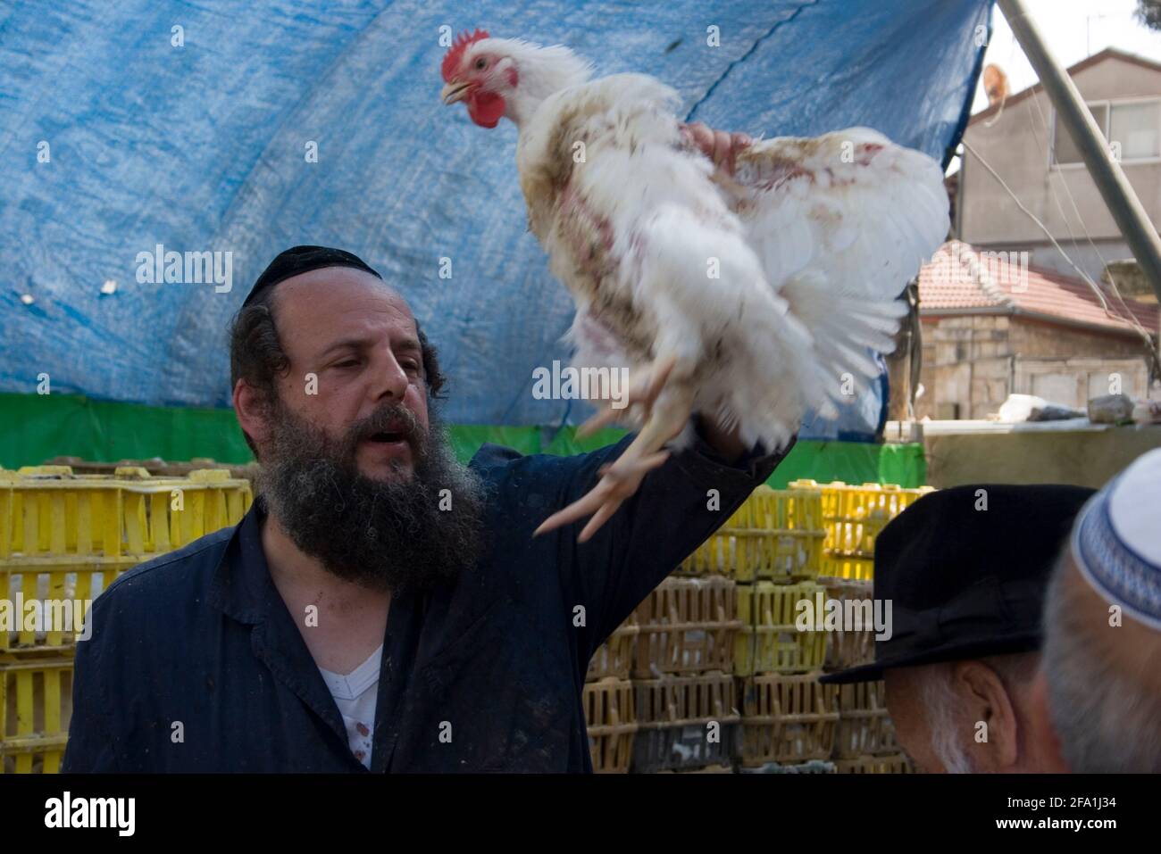 The Butchers chicken stall, Mea Shearim, Jerusalem, Israel Kaparot, an ...