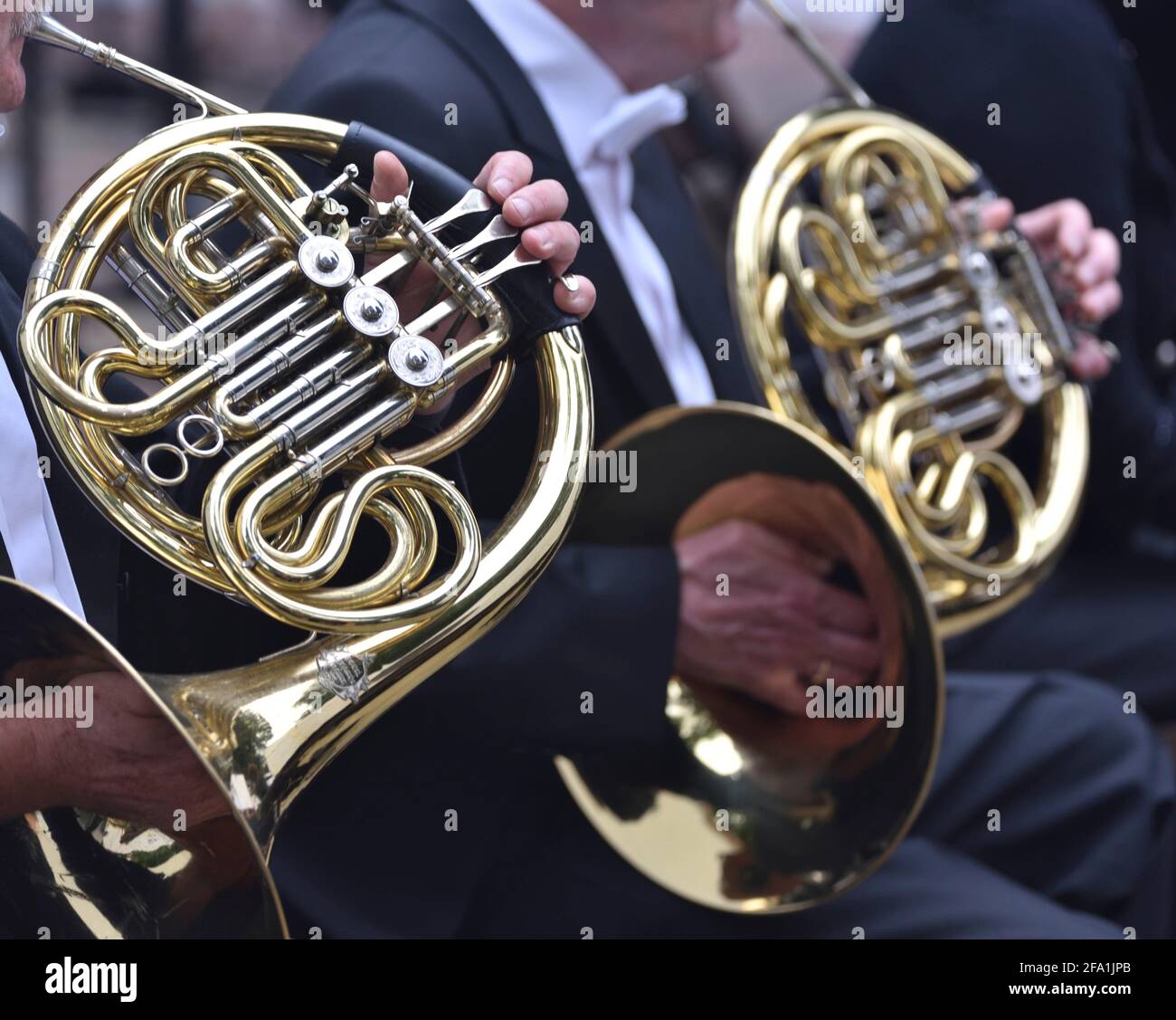 A French horn in the hands of a musician, during a classical music ...