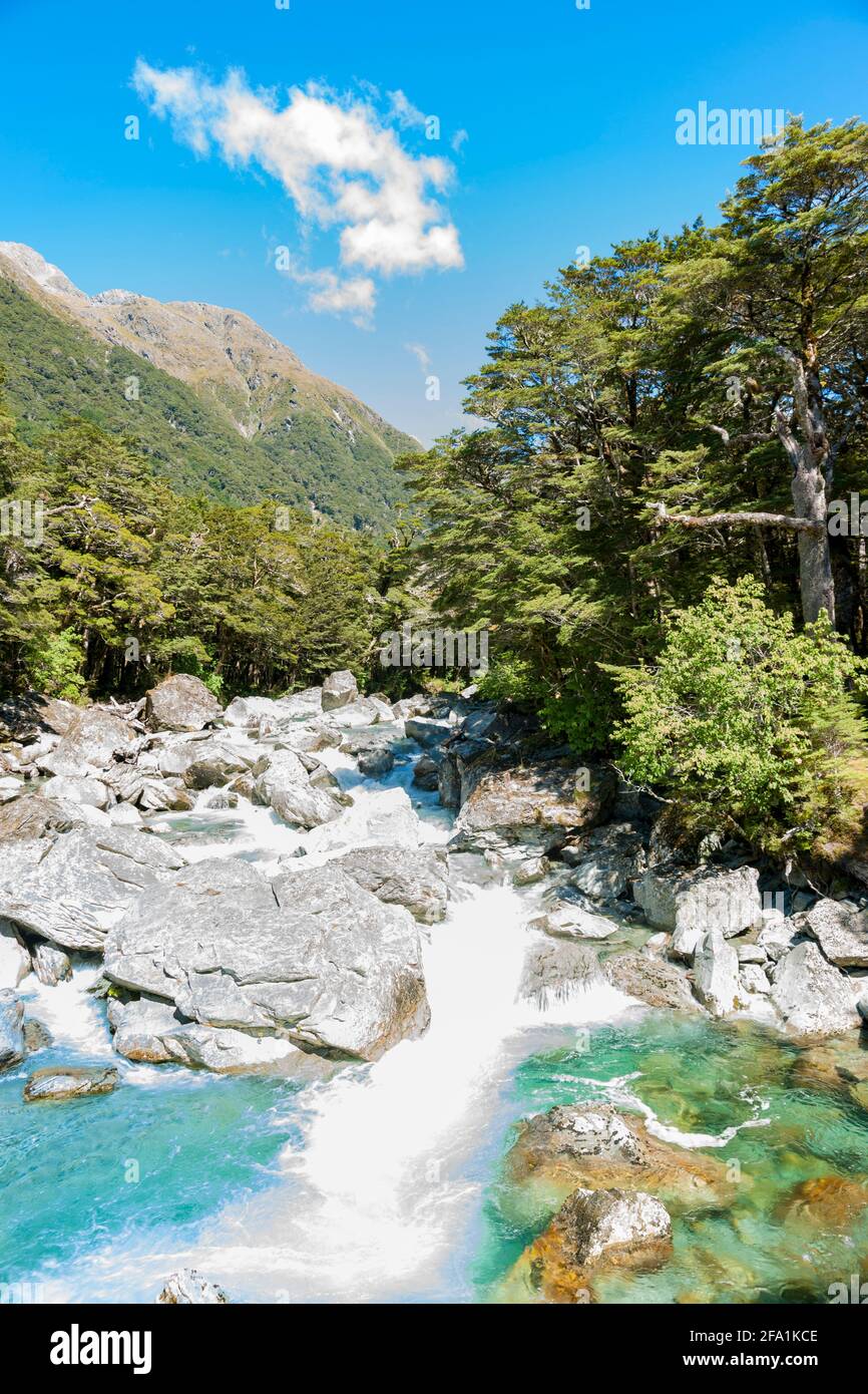 Flows between trees hi-res stock photography and images - Alamy