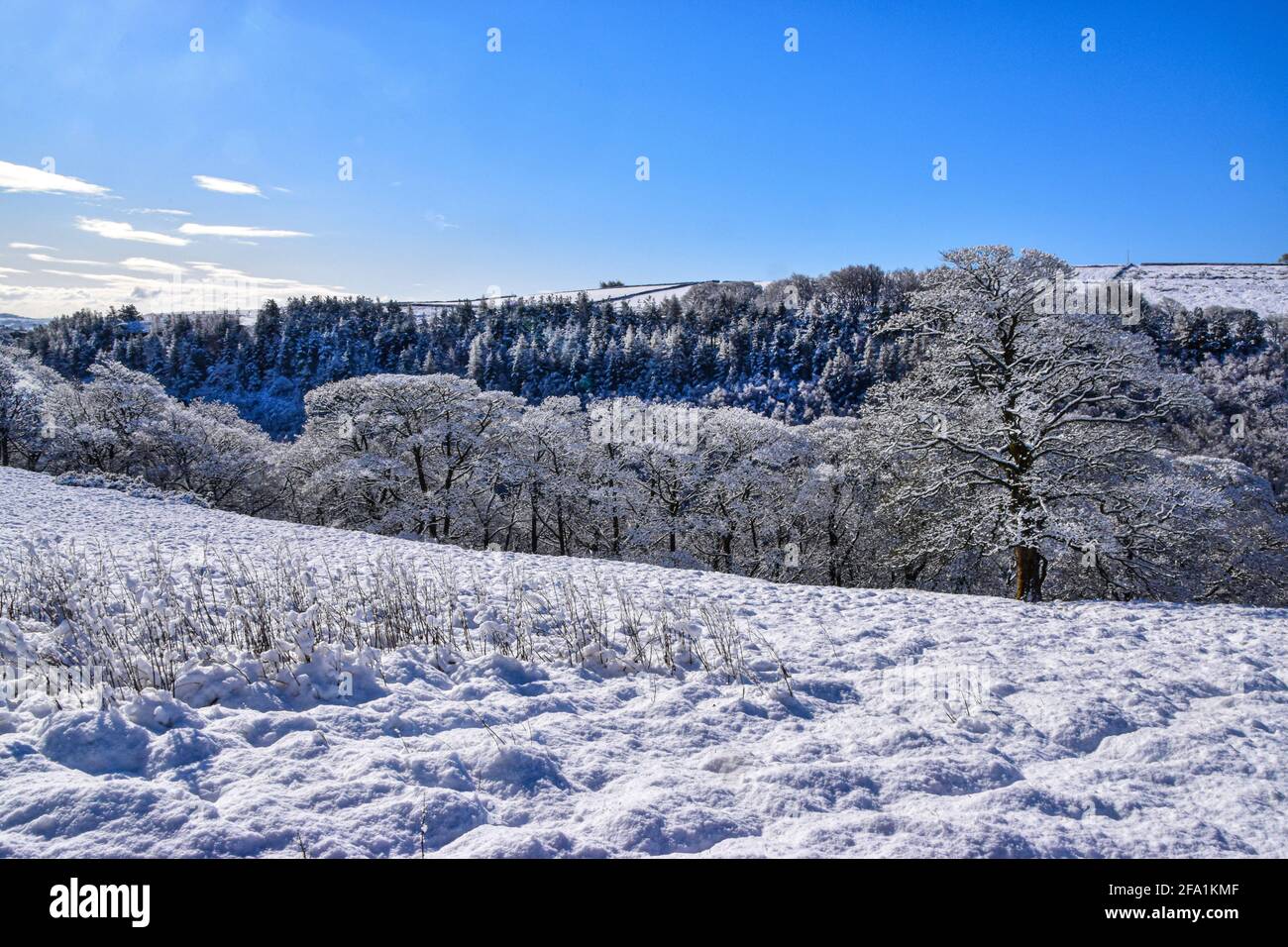 Yorkshire winter wonderland hi-res stock photography and images - Alamy