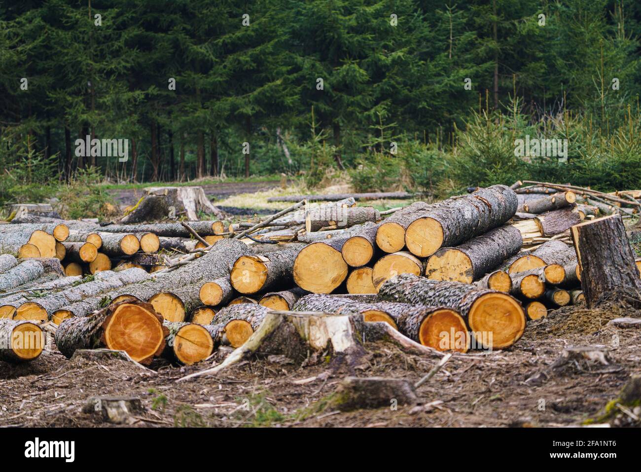Huge structure wood wooden hi-res stock photography and images - Alamy