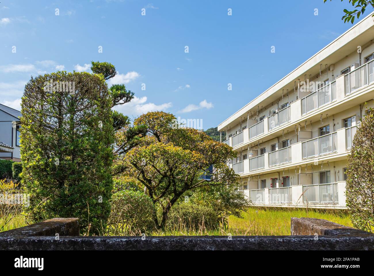 A field filled with natural and man-made shapes, in the form of bushes ...
