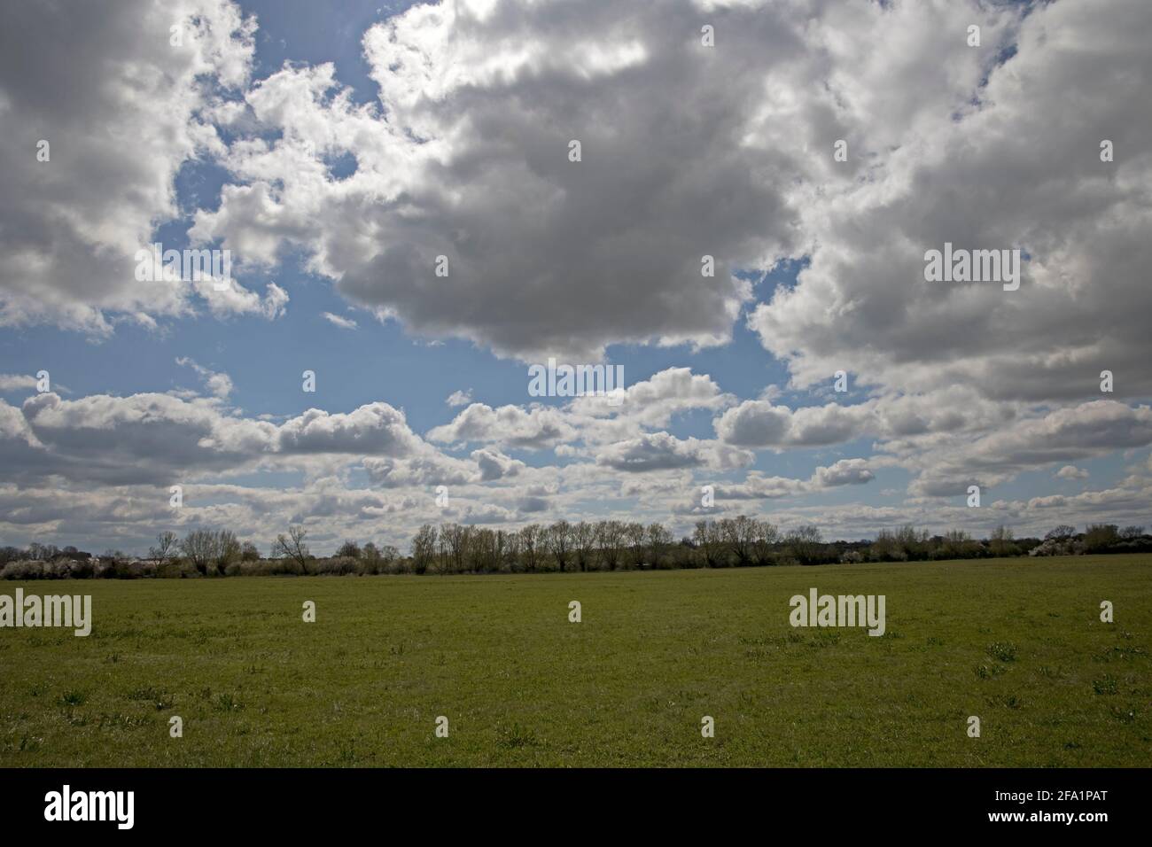 Blue sky trees and skyline hi-res stock photography and images - Alamy