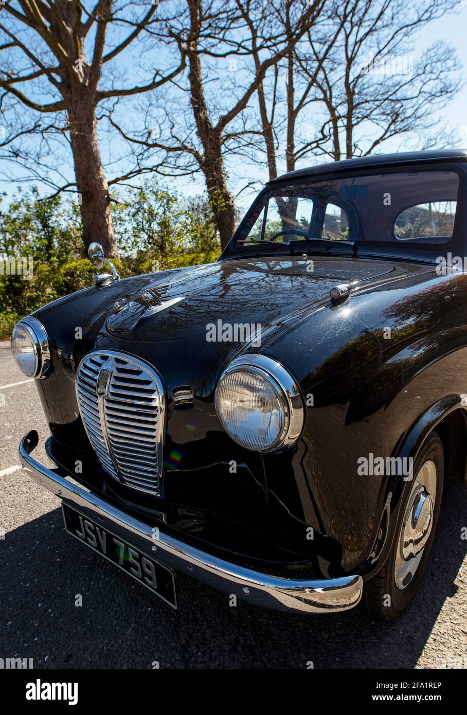 Black Austin A30, a 1950s British car, parked in a quiet country road ...