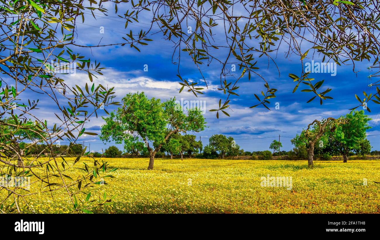 bucolic scene of a rural view Stock Photo - Alamy