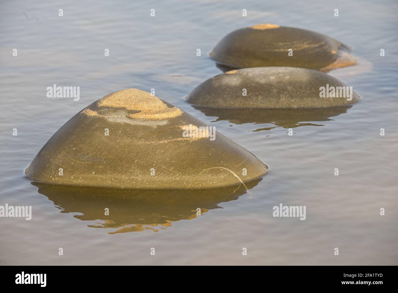 Sand forms abstract shape on the rocks as the tide goes out Stock Photo ...