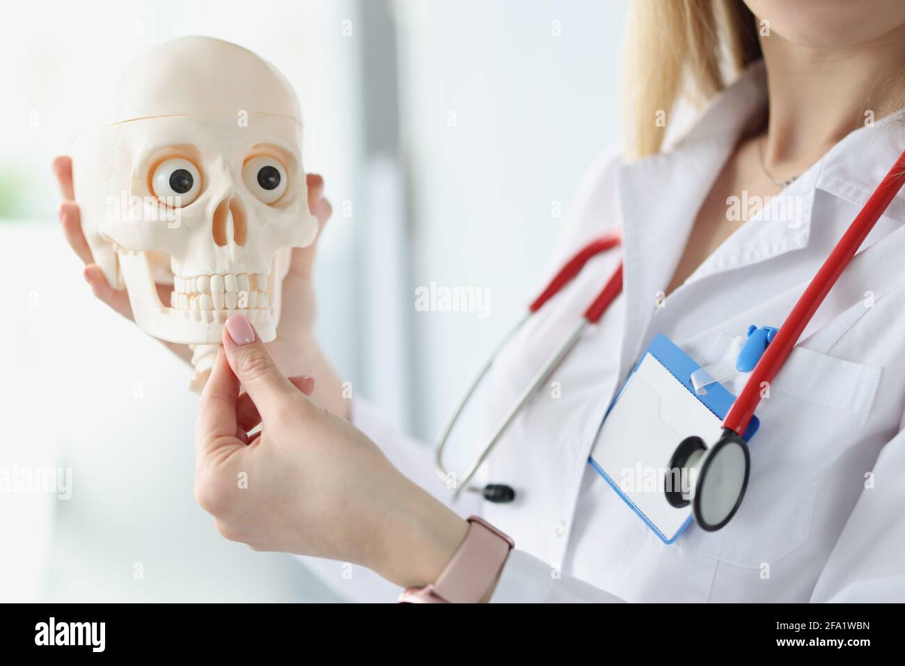 Doctor with stethoscope showing jaws on human skull closeup Stock Photo ...