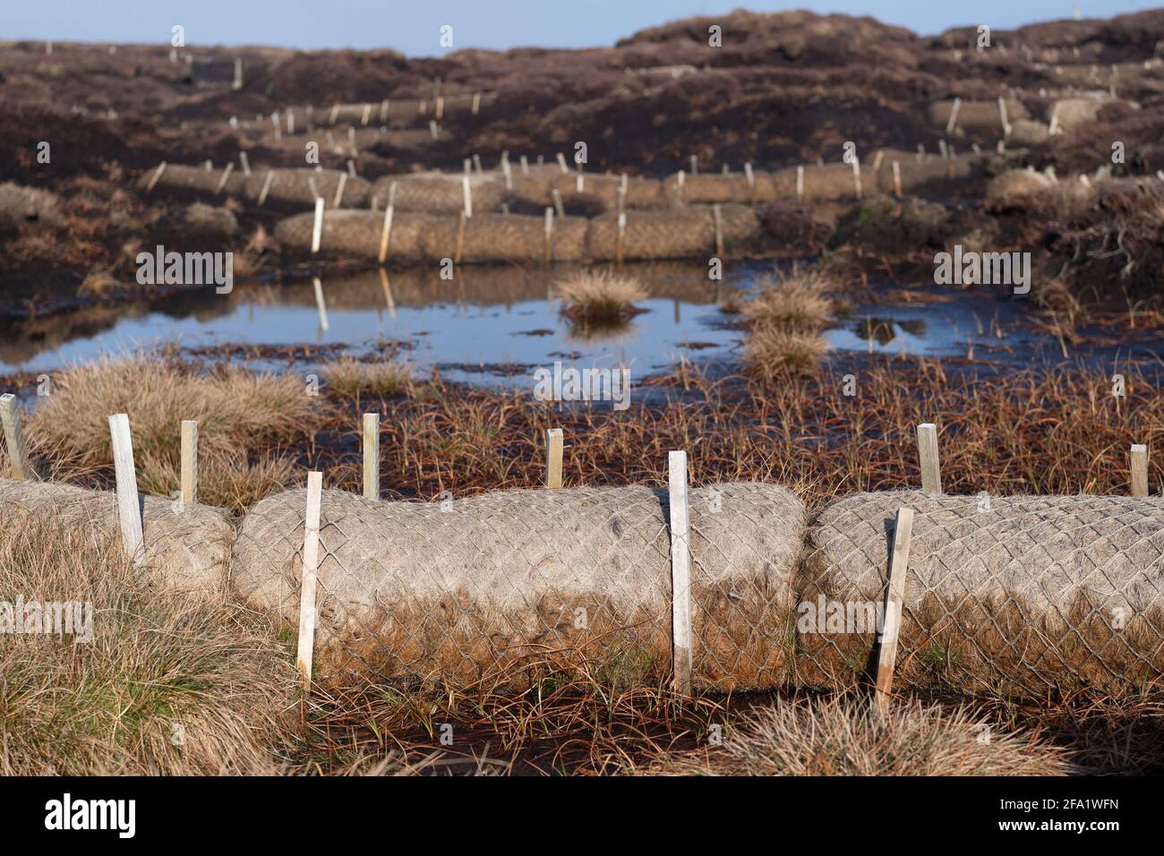 Peat bog restoration program on moorland on Fleet Moss, using coconut ...