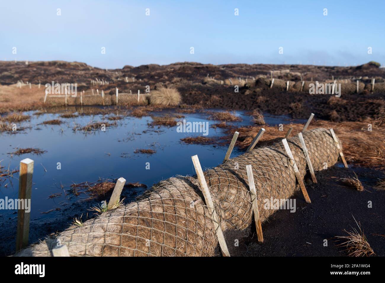 Peat bog restoration program on moorland on Fleet Moss, using coconut ...