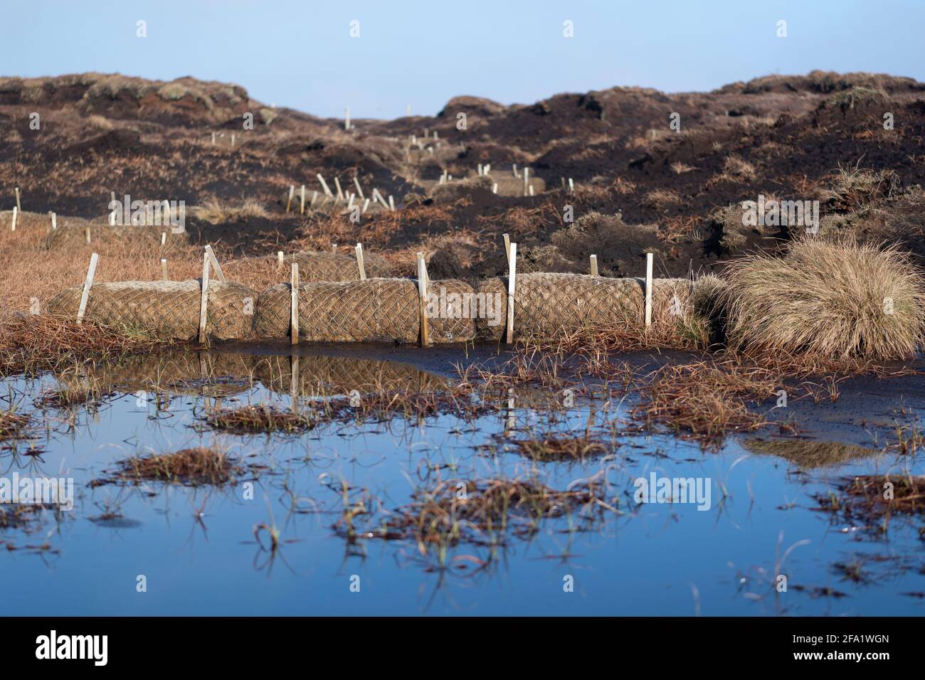 Peat bog restoration program on moorland on Fleet Moss, using coconut ...