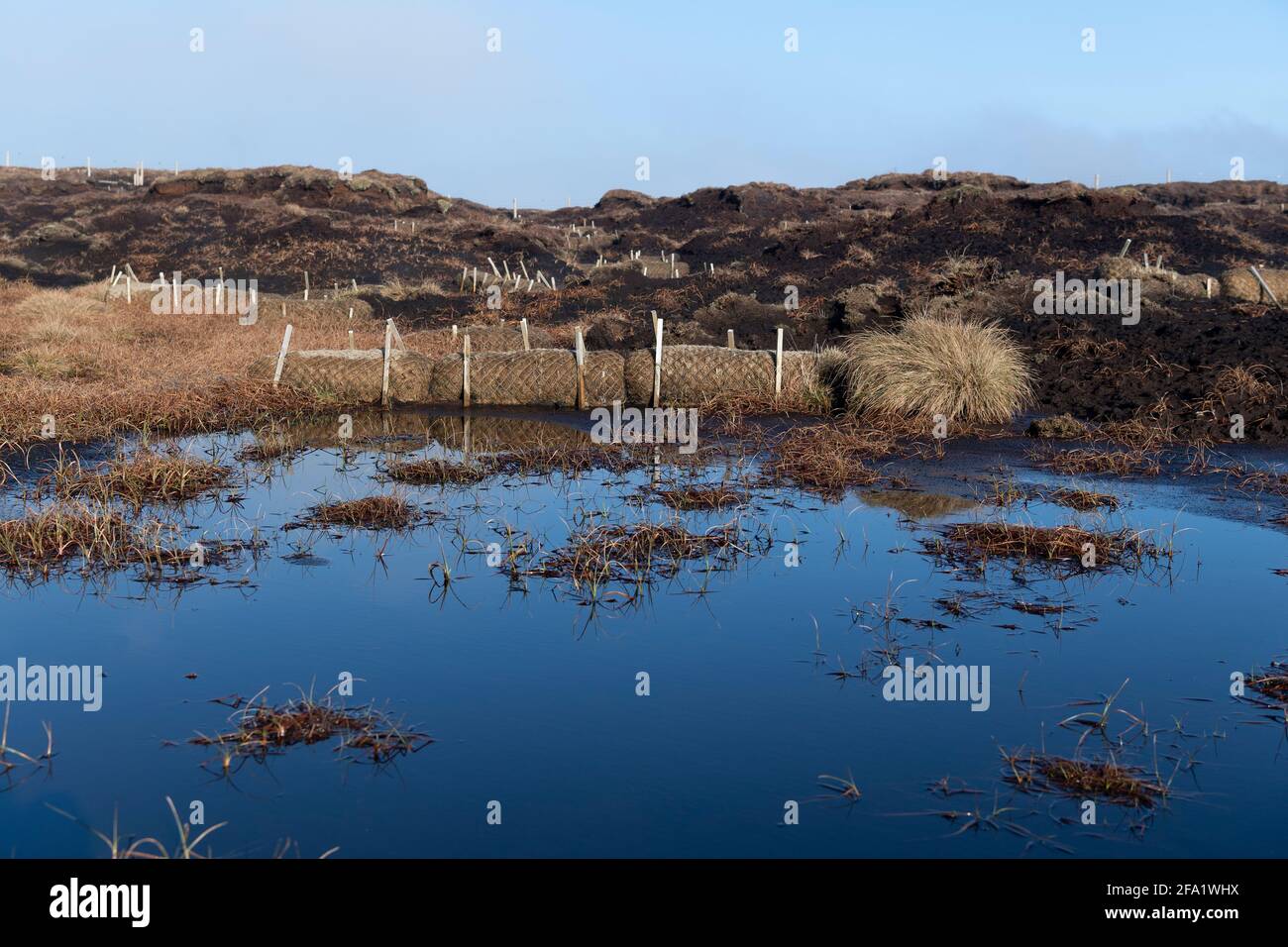 Peat bog restoration program on moorland on Fleet Moss, using coconut ...